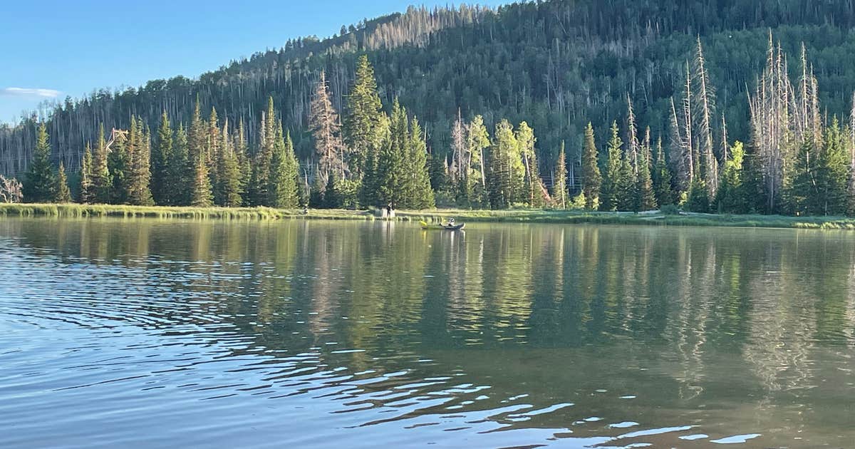 Camper-Submitted Photos of Potters Pond