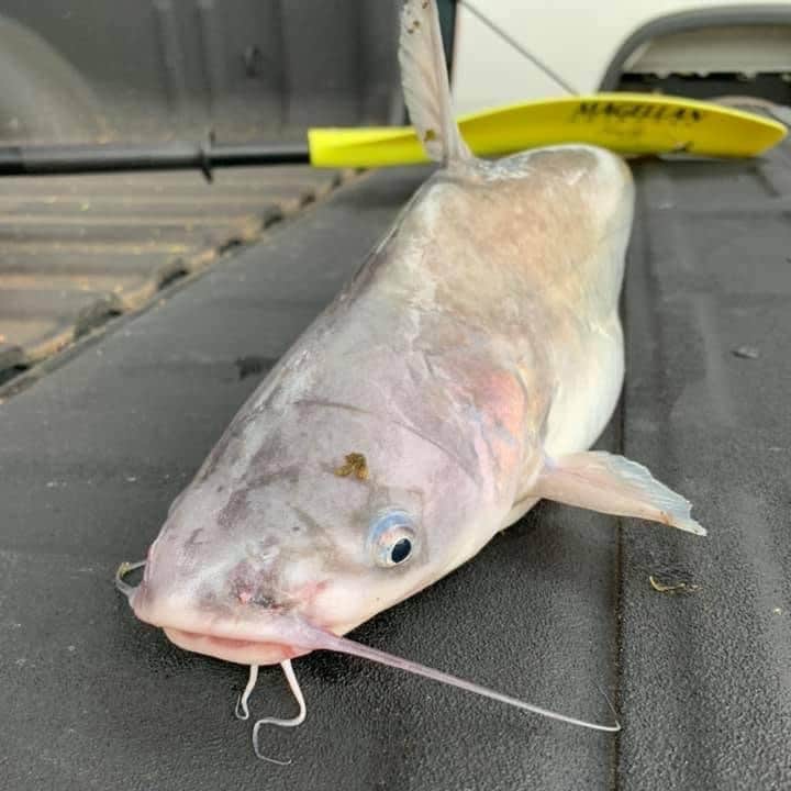 Lake Bonham Recreation Area Camping | Bonham, TX