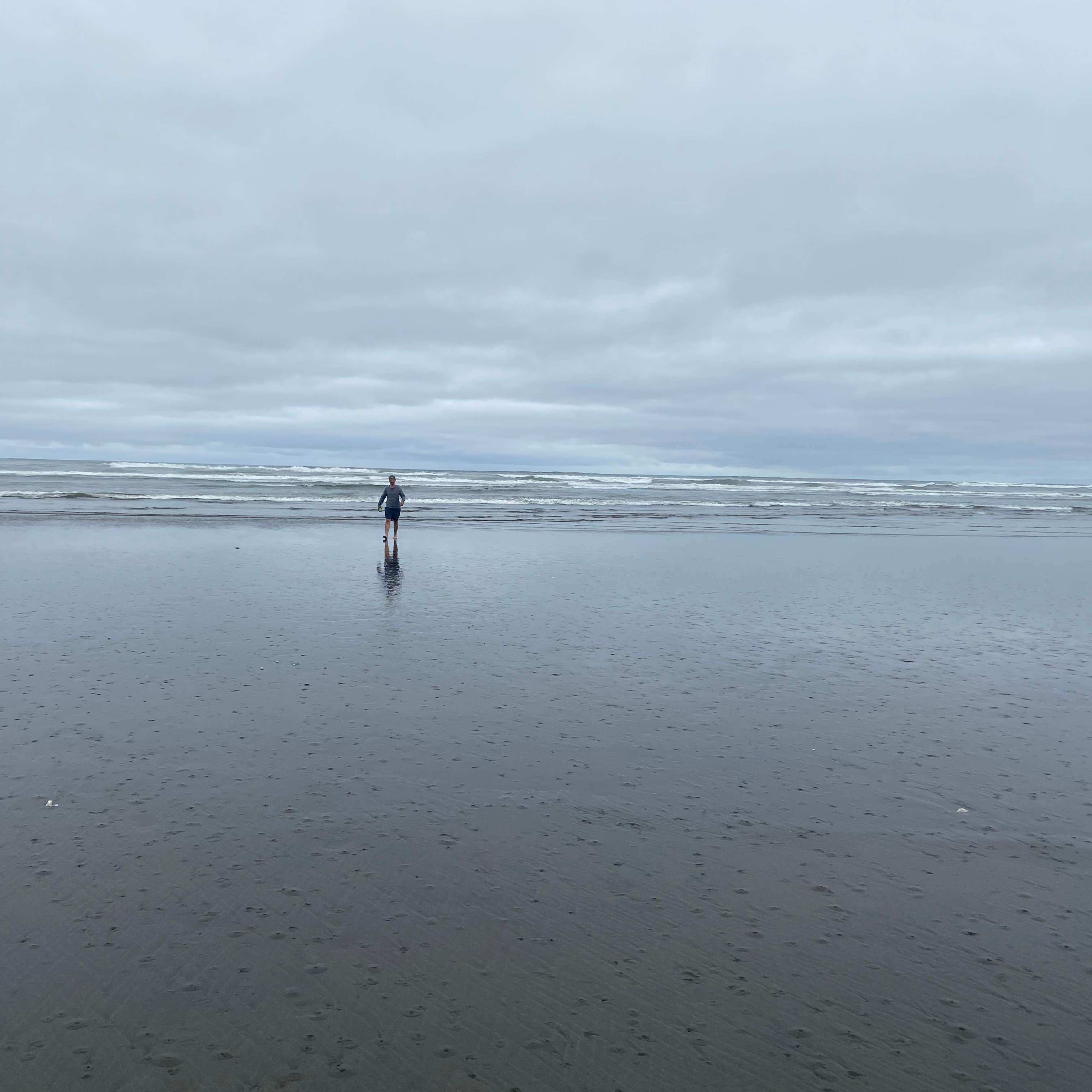 Copalis Beach RV Resort Camping | The Dyrt