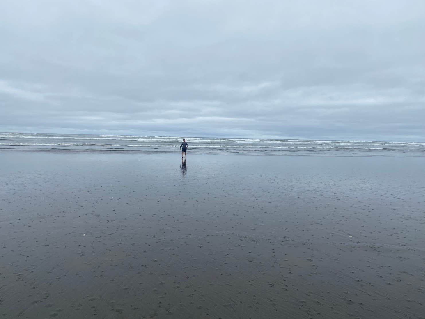 Copalis Beach RV Resort Camping | The Dyrt