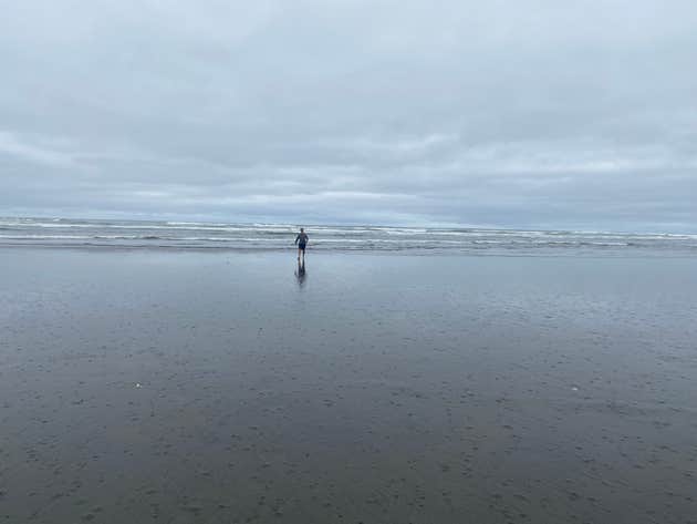 Copalis Beach RV Resort Camping | The Dyrt