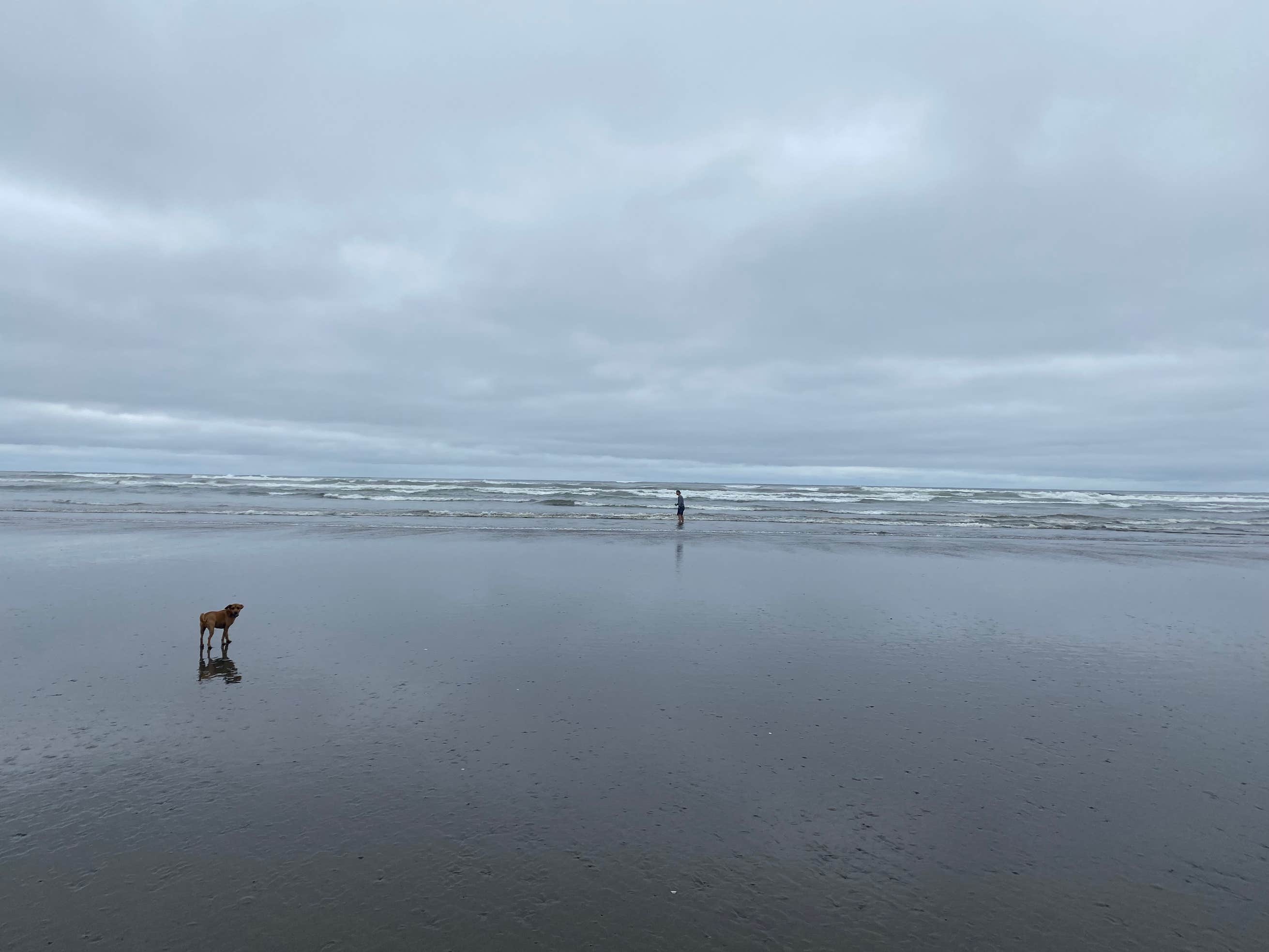 Copalis Beach Resort-Sunrise Resorts | The Dyrt