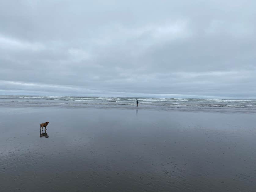 Copalis Beach Resort-Sunrise Resorts | The Dyrt