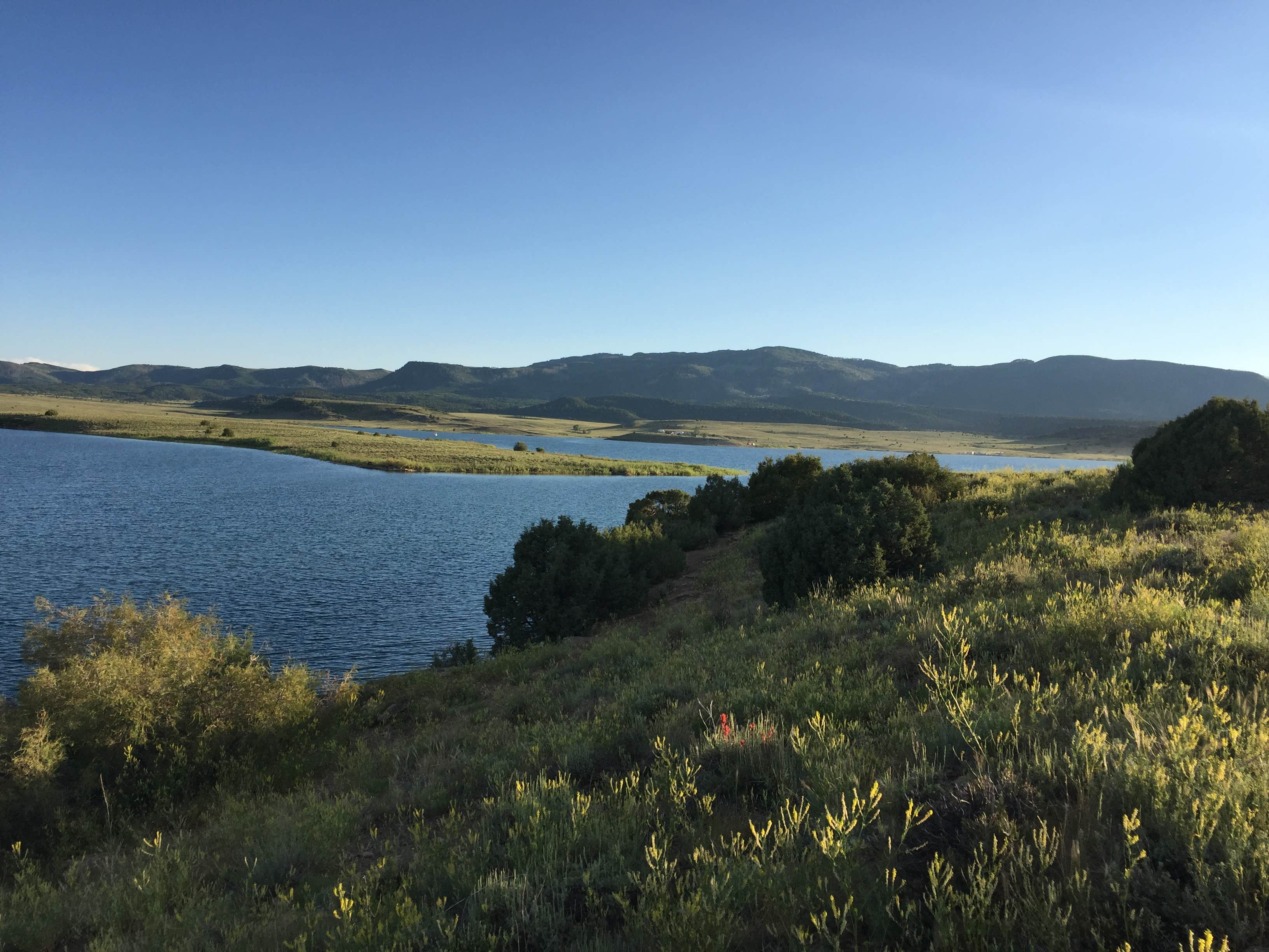 Miramonte Reservoir | The Dyrt