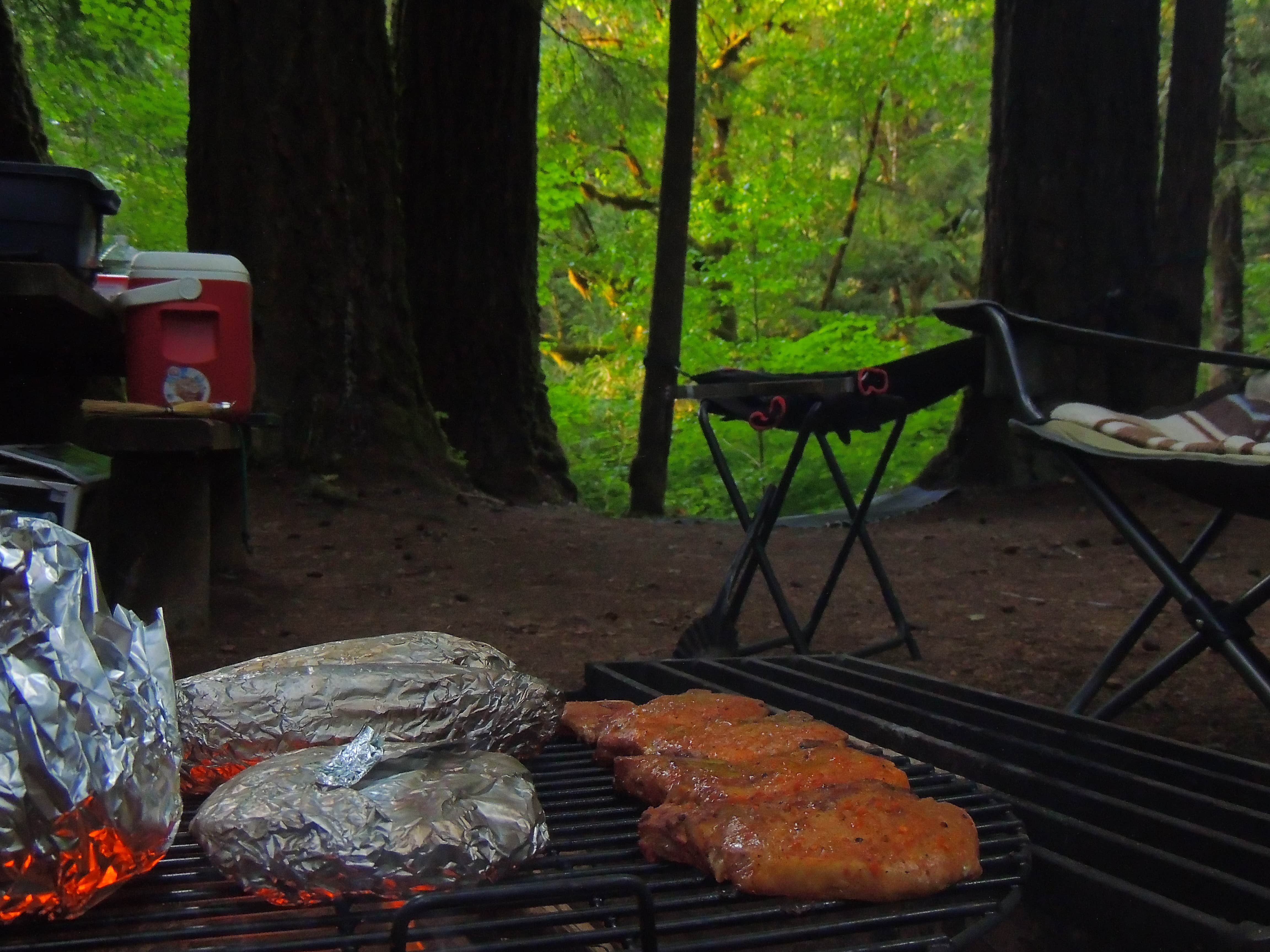 Limberlost Campground | Mckenzie Bridge, Oregon