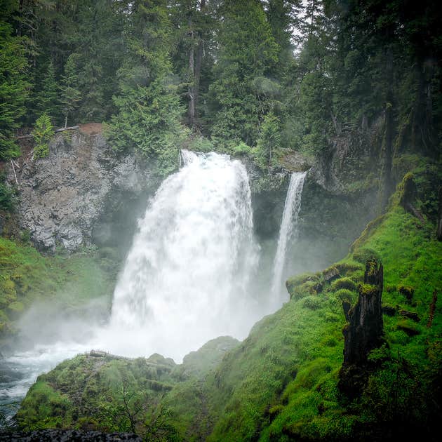 Limberlost Campground Camping | The Dyrt