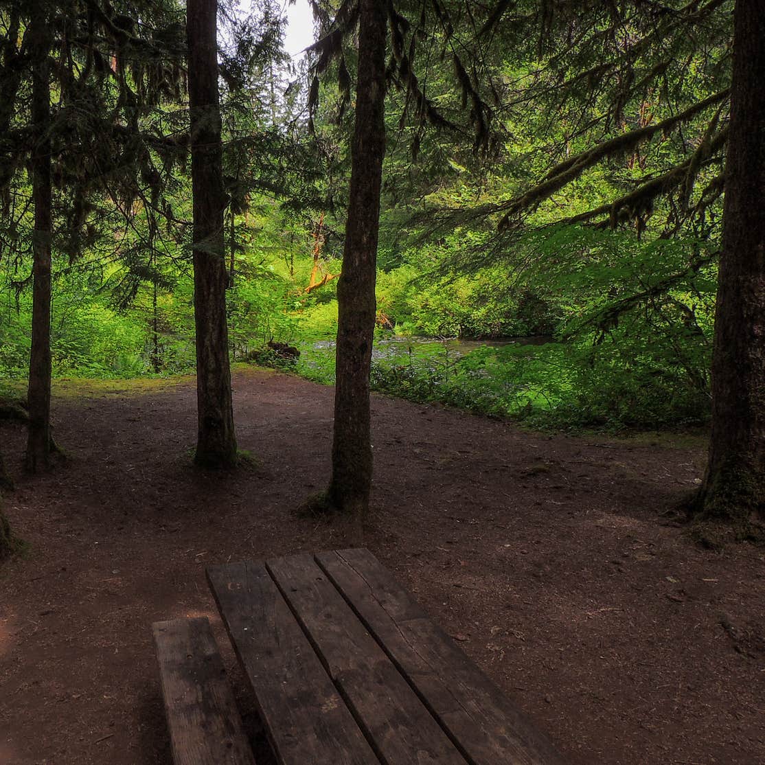 Limberlost Campground Camping | The Dyrt