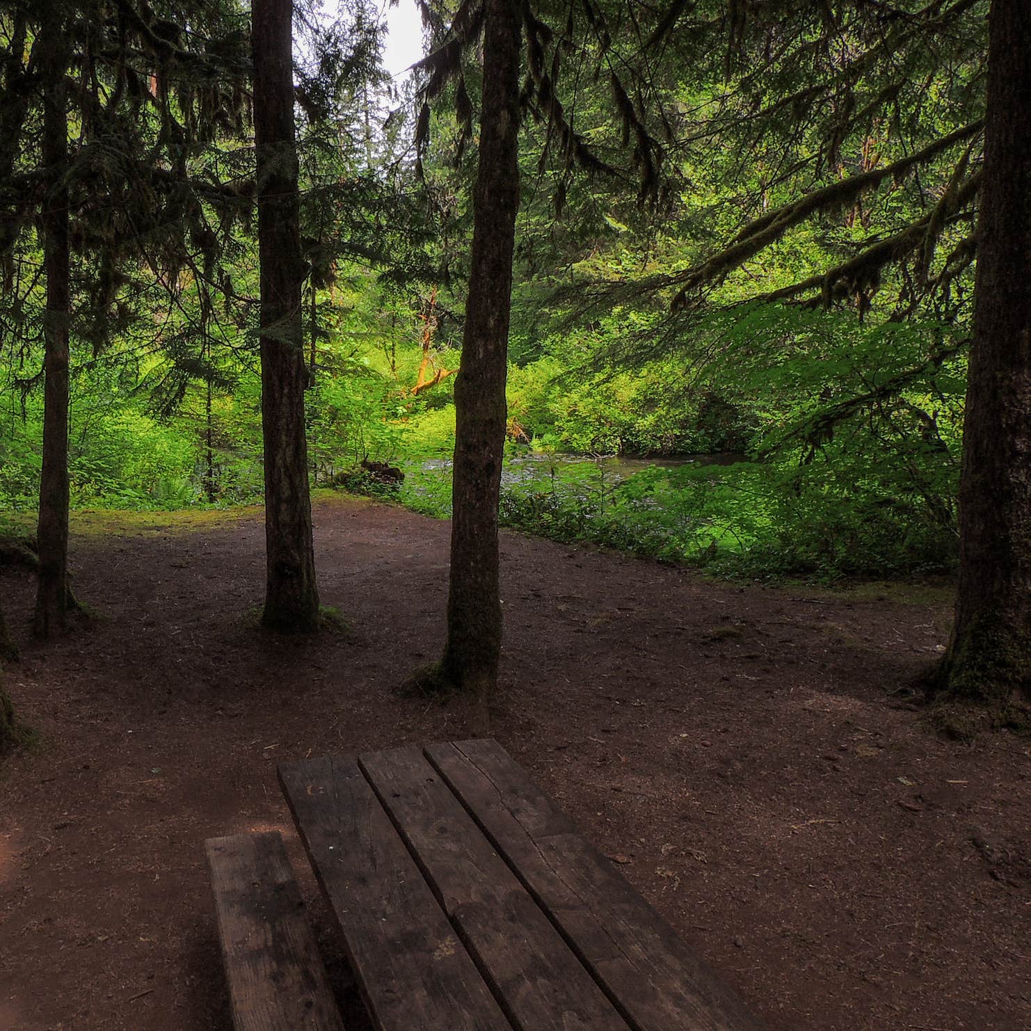 Limberlost Campground Camping | The Dyrt