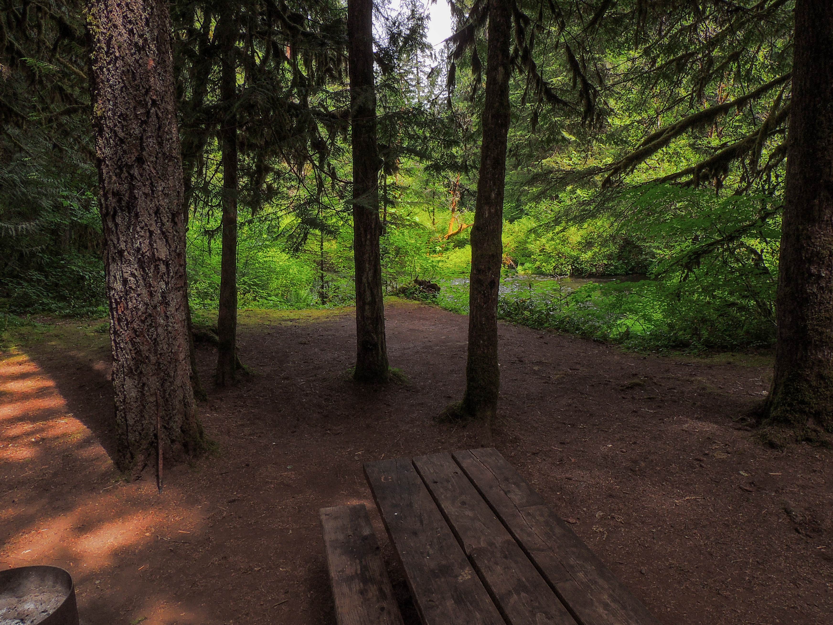 Limberlost Campground Camping | The Dyrt