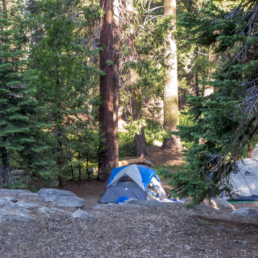 Sunset Campground - Kings Canyon National Park Camping | The Dyrt