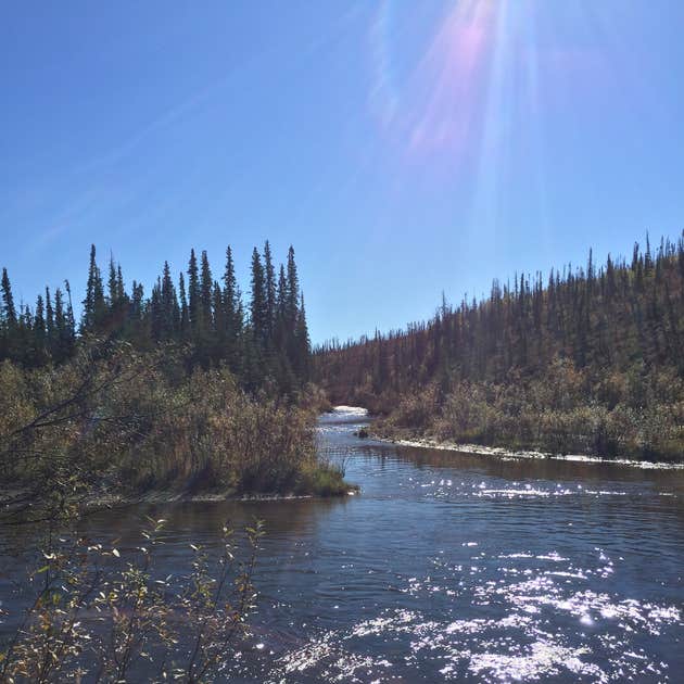 Ophir Creek Campground — White Mountains National Recreation Area ...