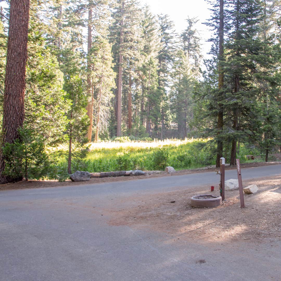 Sunset Campground - Kings Canyon National Park Camping | The Dyrt
