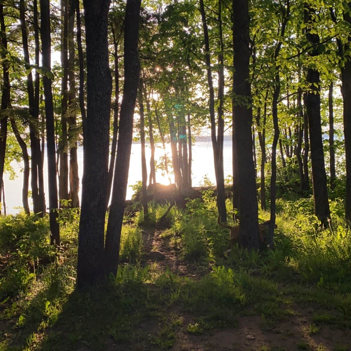 Lake Gogebic County Park Camping | Marenisco, Michigan