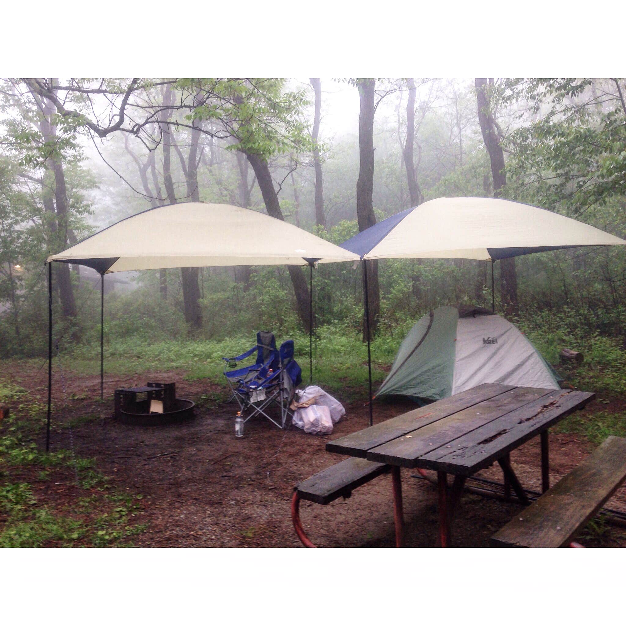 Lewis Mountain Campground — Shenandoah National Park | Hood, Virginia