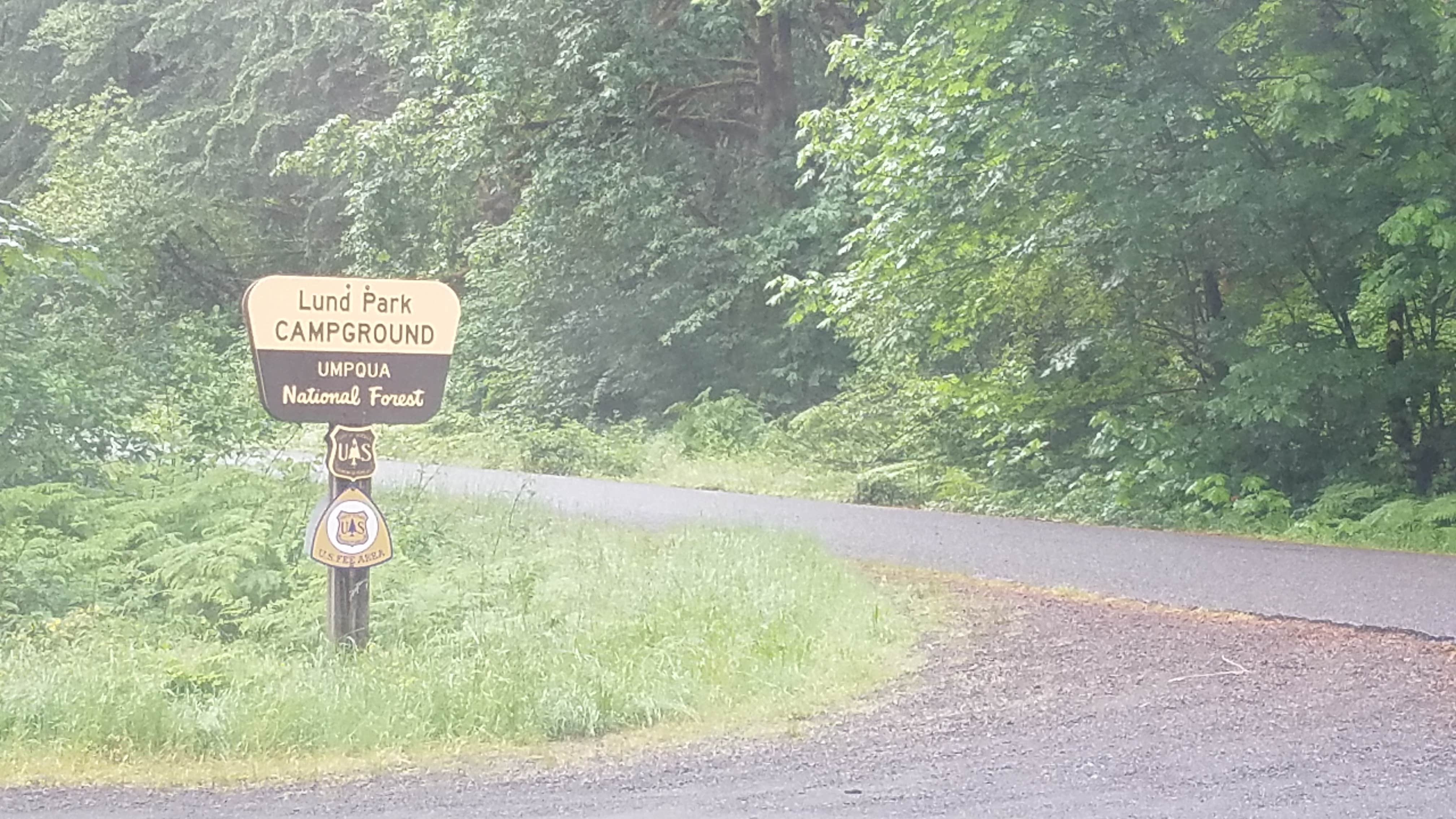 Lund Park Forest Camp | Dorena, OR