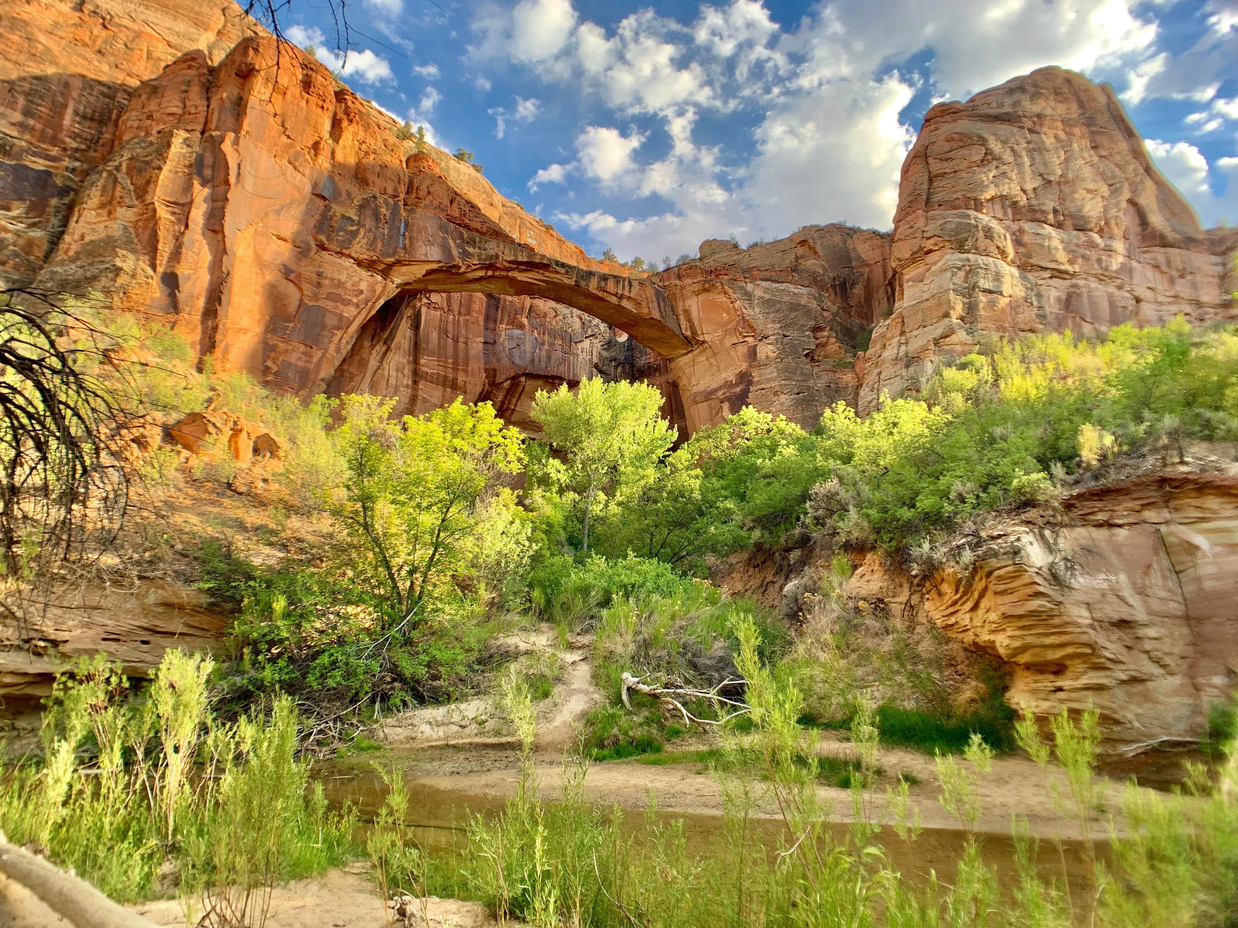 Escalante Petrified Forest | The Dyrt