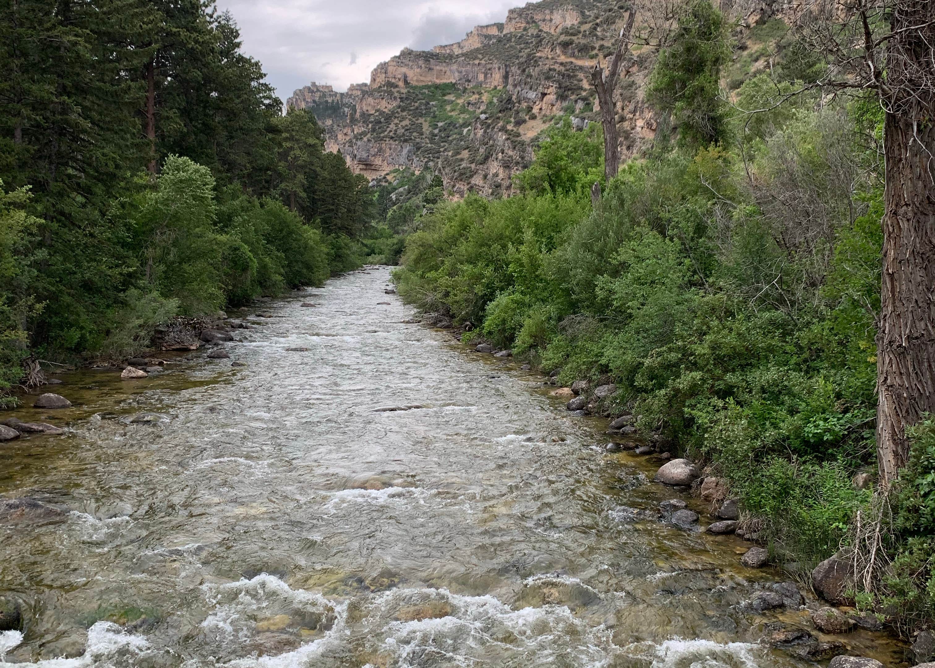 Tongue River Campground Camping | The Dyrt