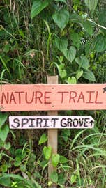 Sunsport Gardens Family Naturist Resort Camping | The Dyrt