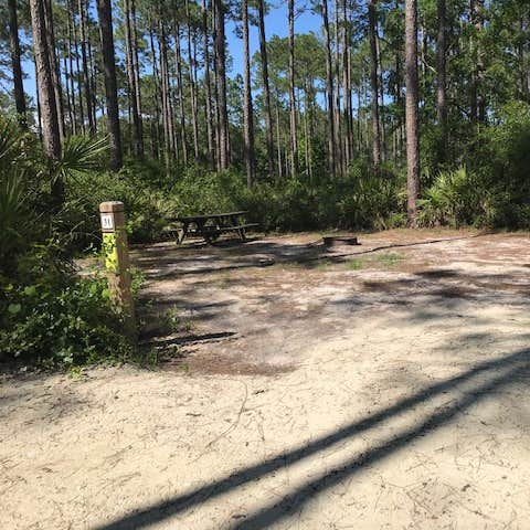 Womack Creek Campground — Tate's Hell State Forest | Sopchoppy, Florida
