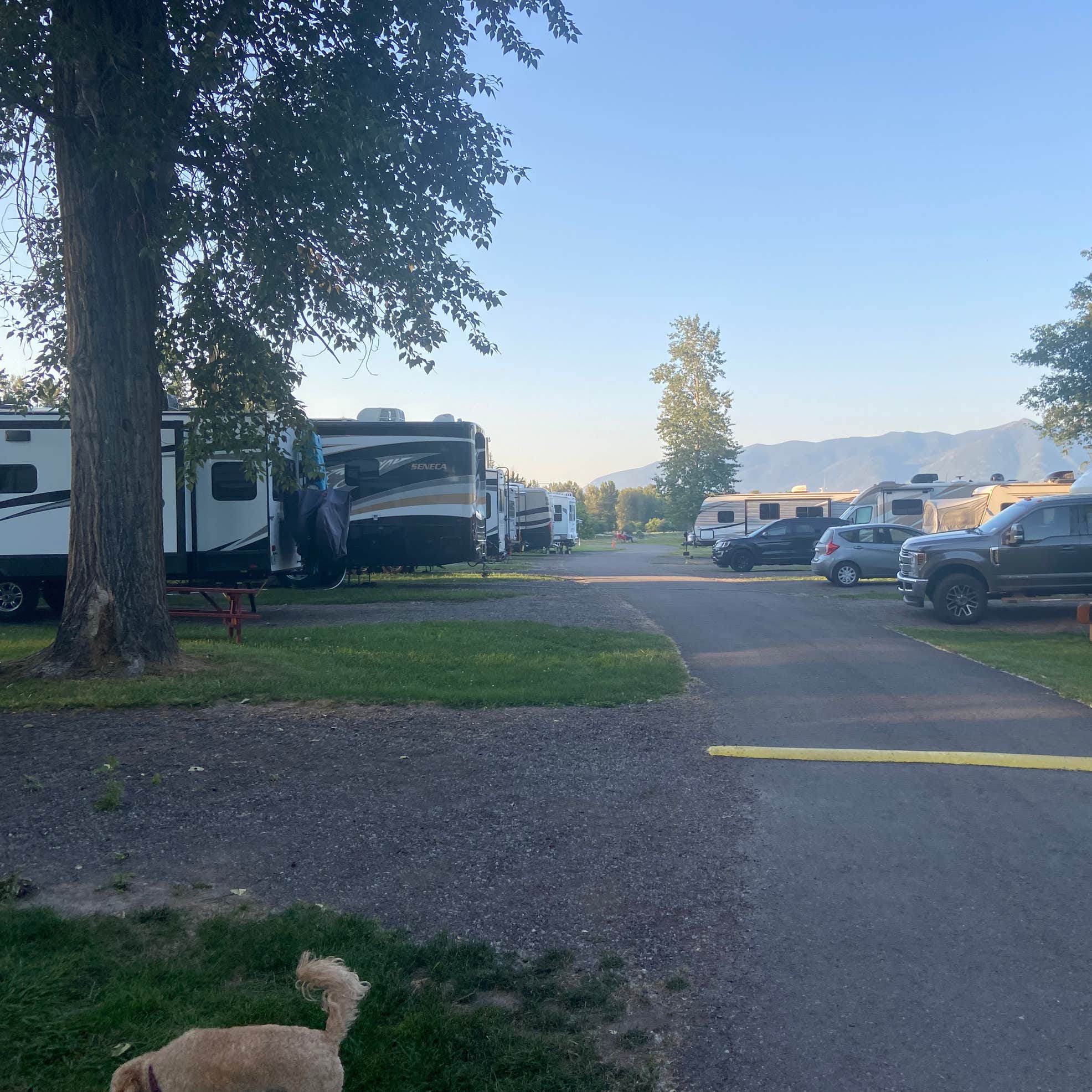 Spruce Park On The River Camping | Kalispell, Montana