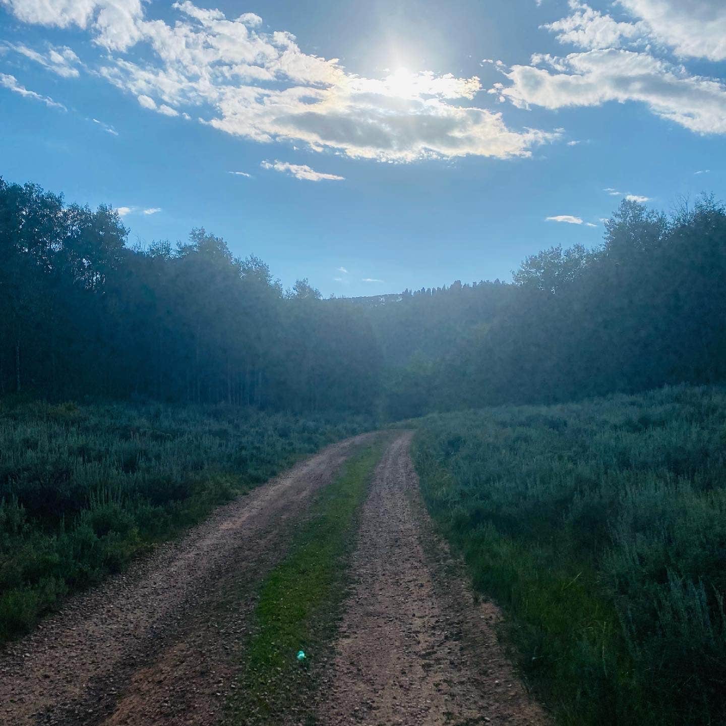 Knotty Pine RV Resort | Kamas, UT