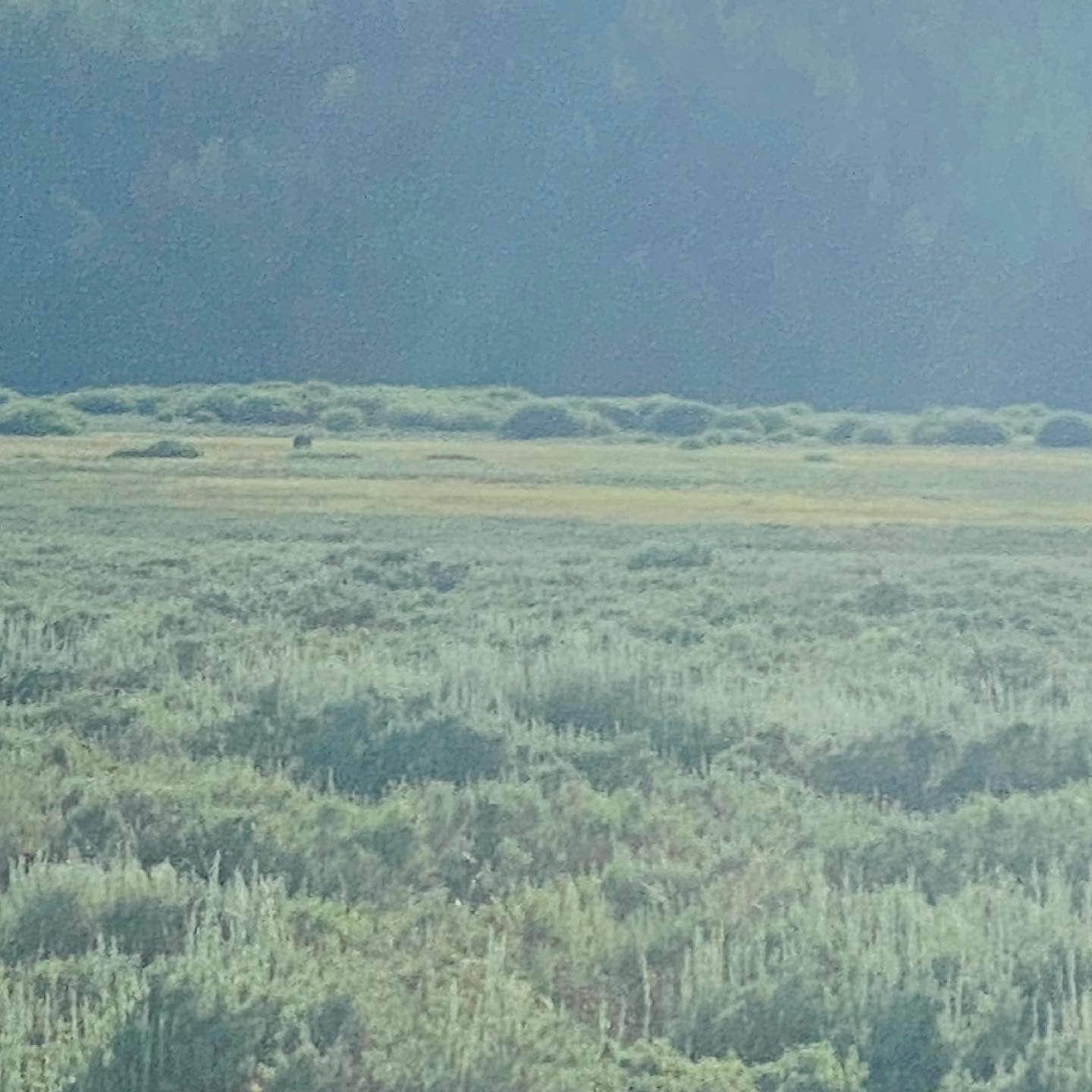 Knotty Pine RV Resort | Kamas, Utah