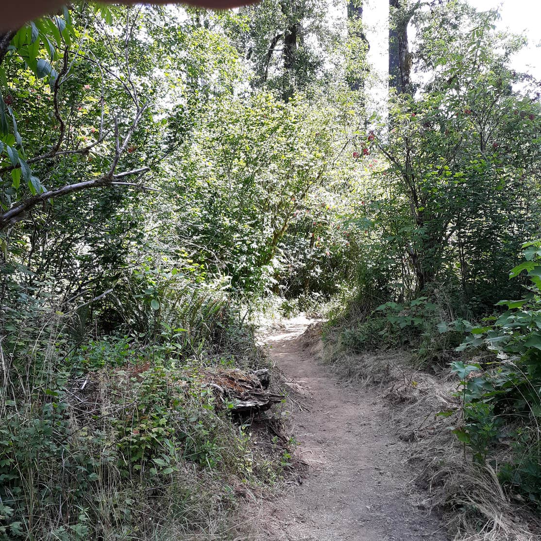 Big Buck Campground | Grand Ronde, Oregon