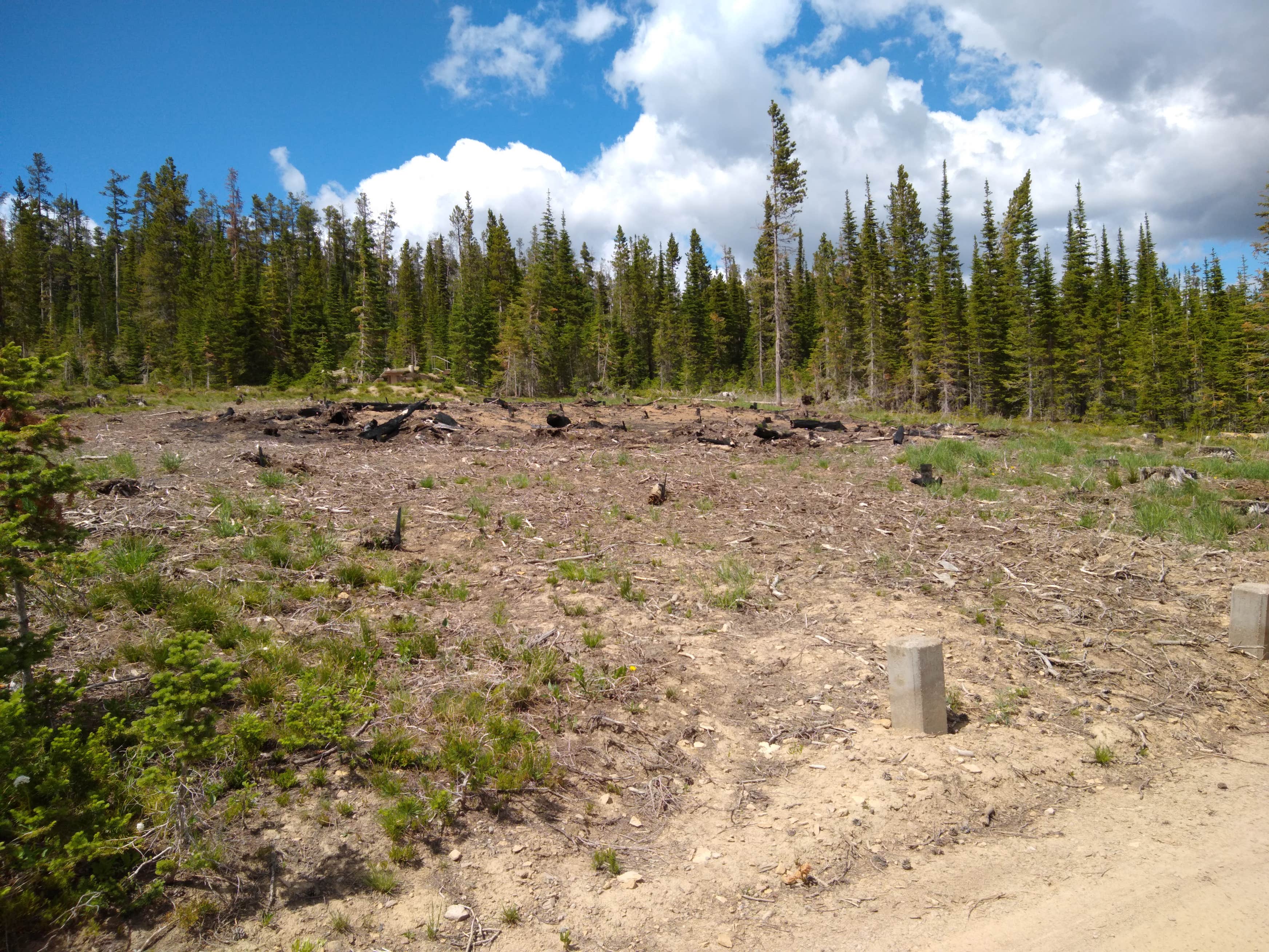 Kings Hill Campground Camping | The Dyrt
