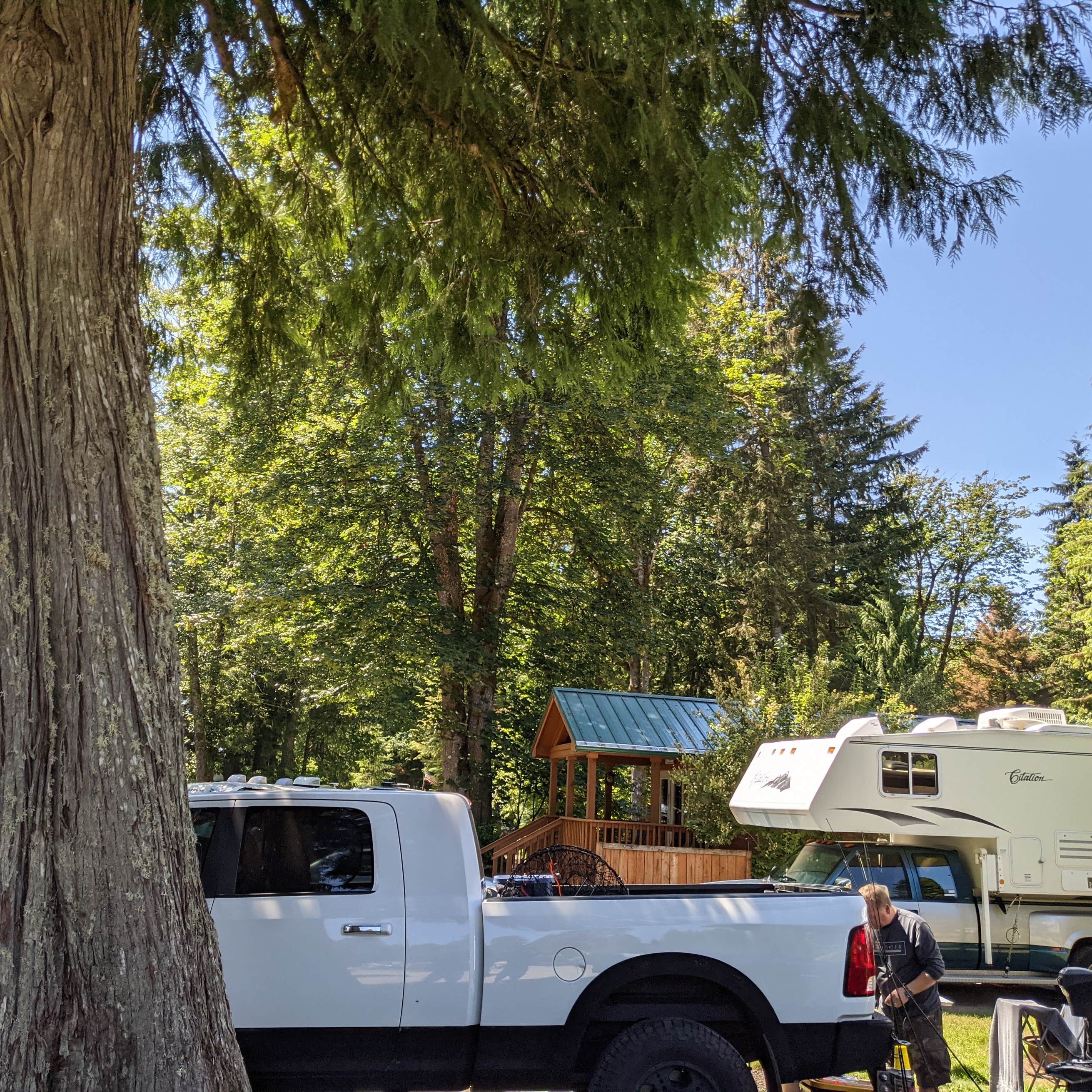 Harmony Lakeside RV Park | Mossyrock, Washington