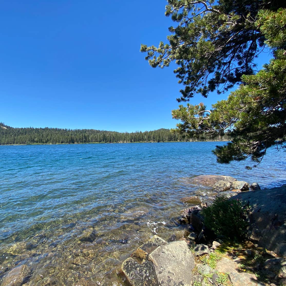 Little Bear RV Park | Blairsden-Graeagle, California