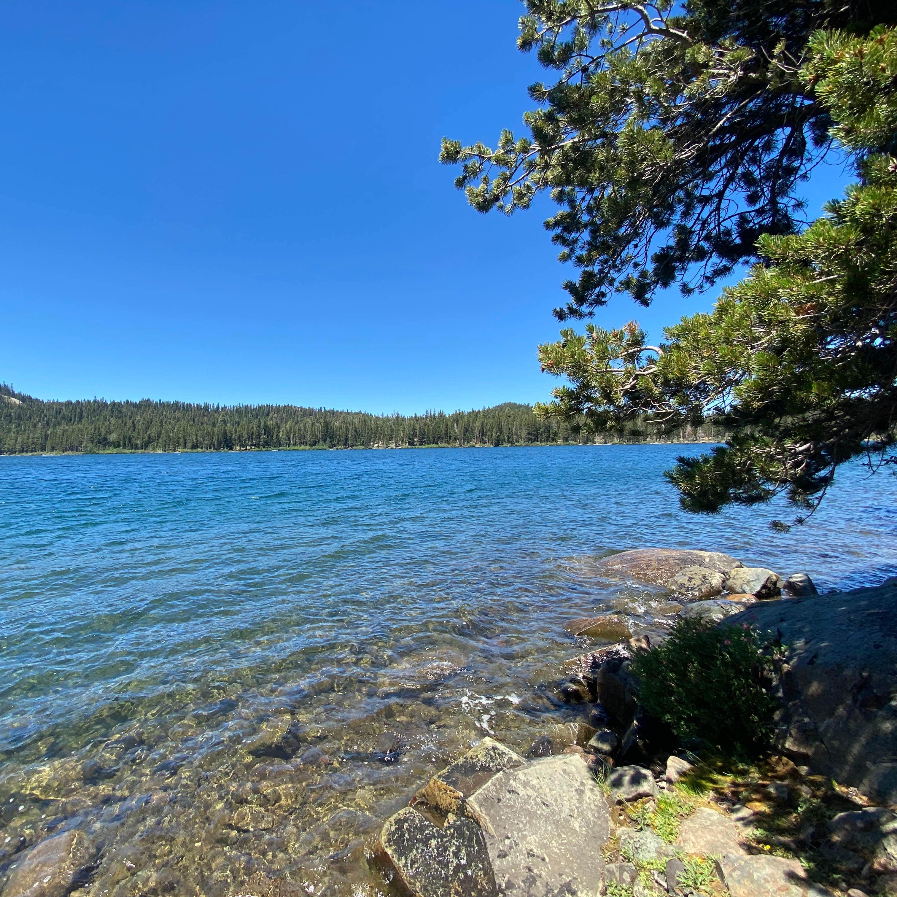 Little Bear RV Park | Blairsden-Graeagle, California