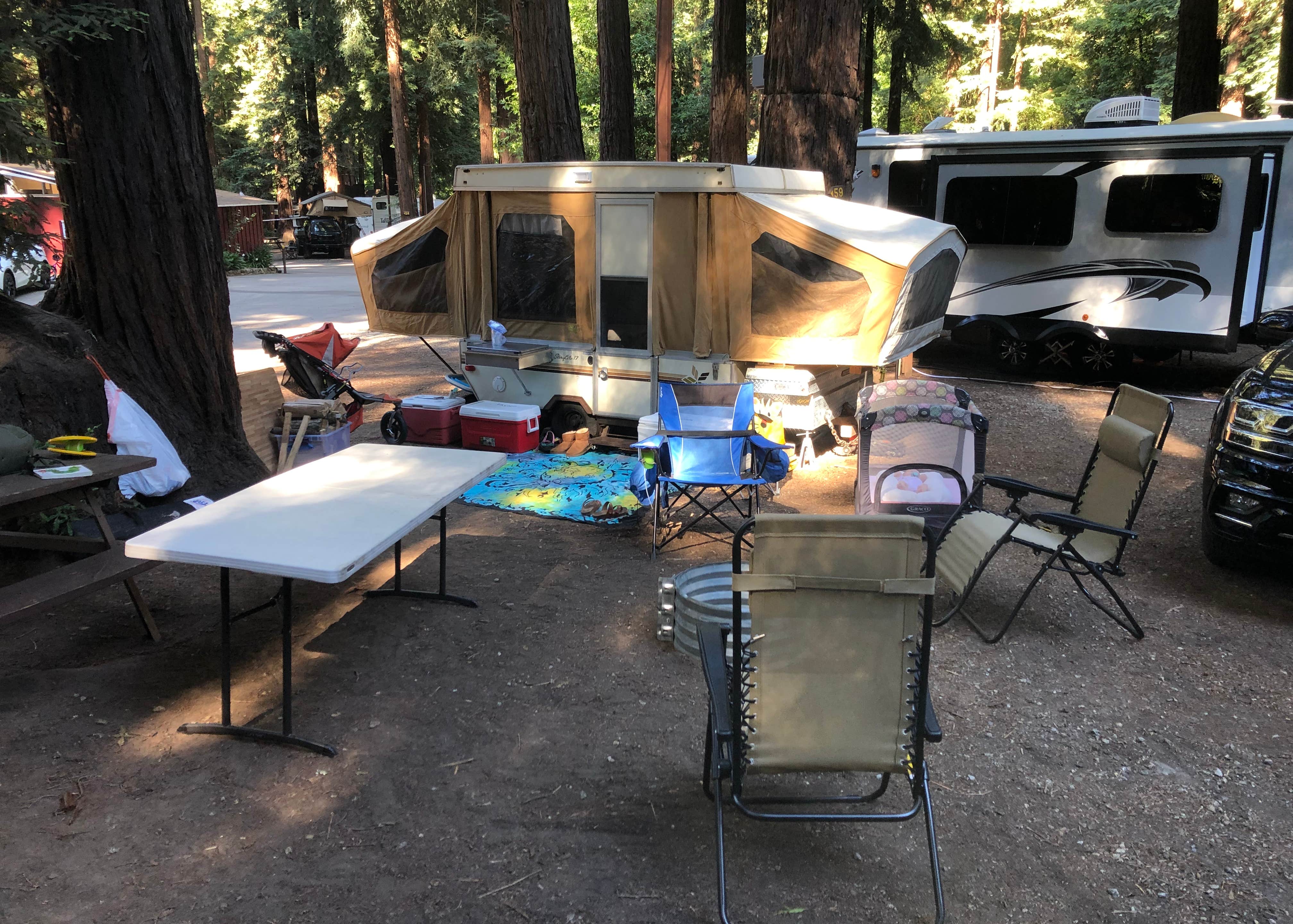 Santa Cruz Redwoods RV Resort Camping | The Dyrt