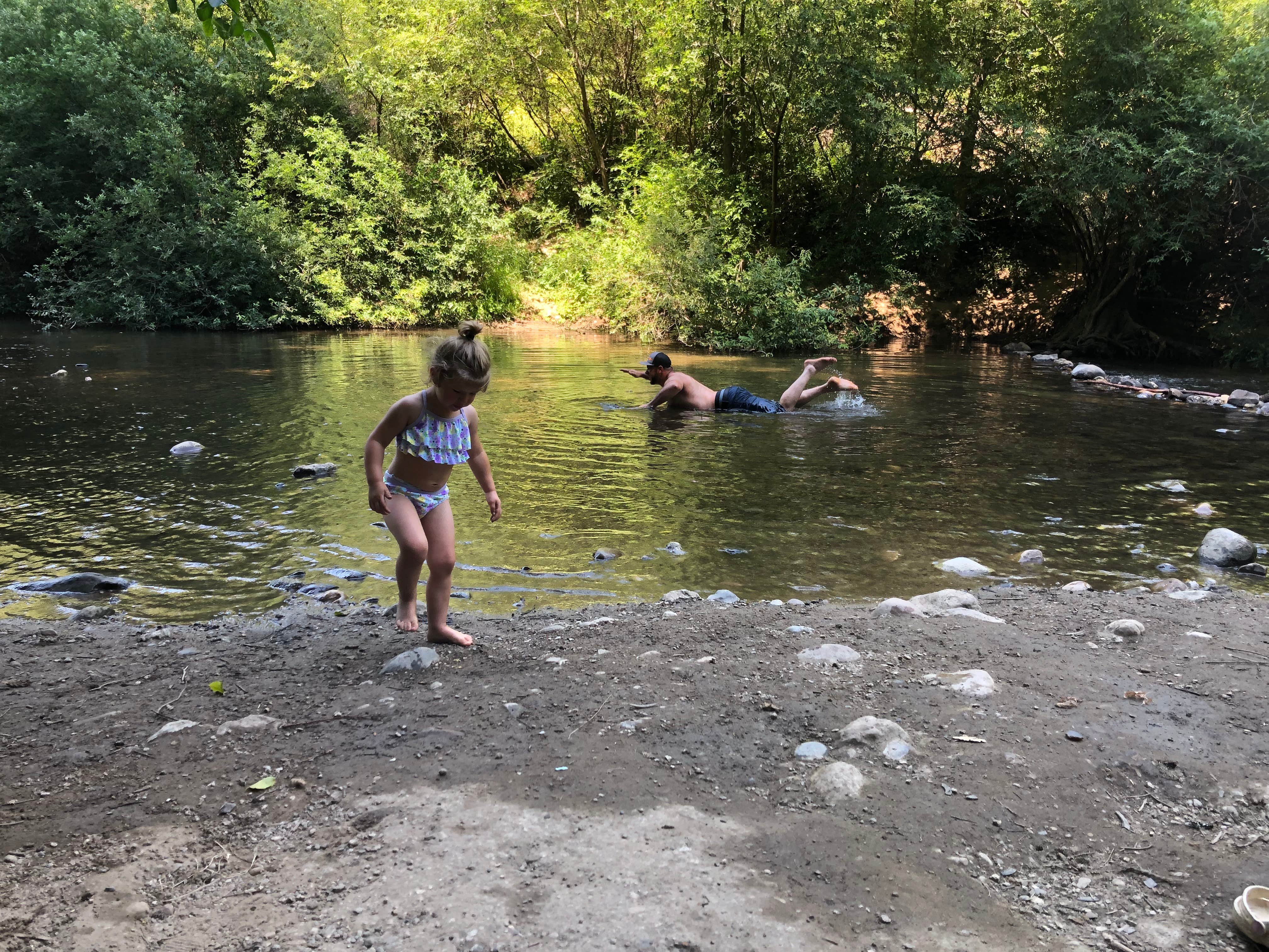 Santa Cruz Redwoods RV Resort | Felton, CA