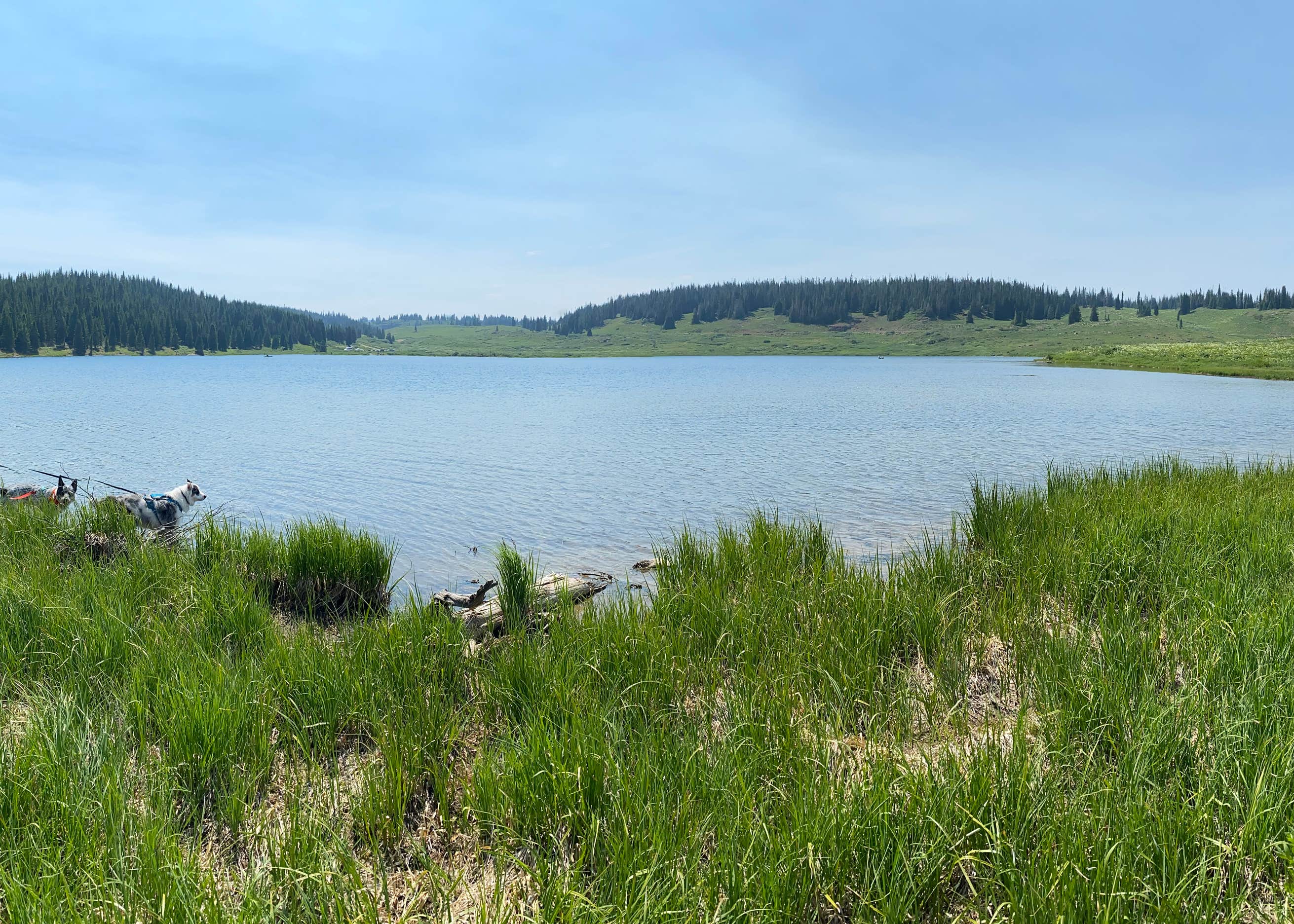 Deep Lake Camping | The Dyrt