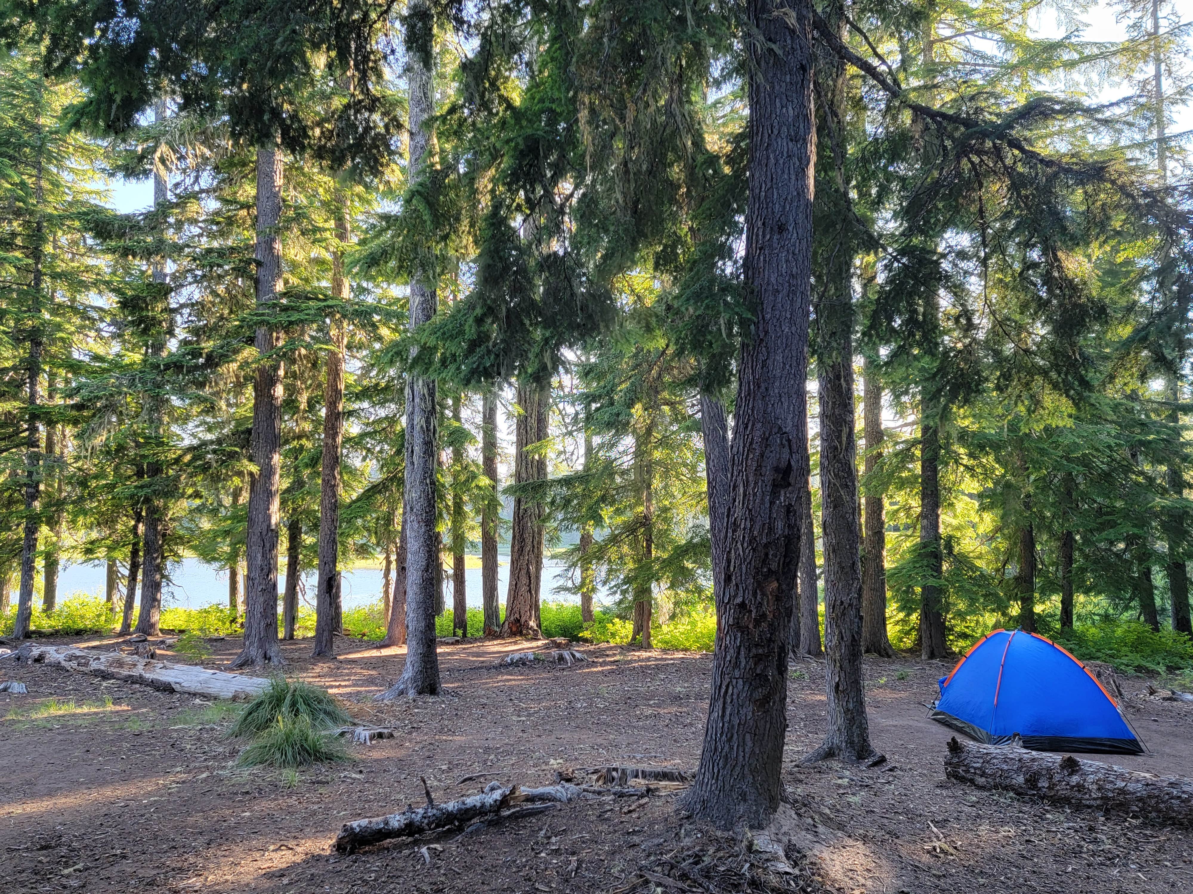 Forlorn Lakes Camping | Skamania, WA