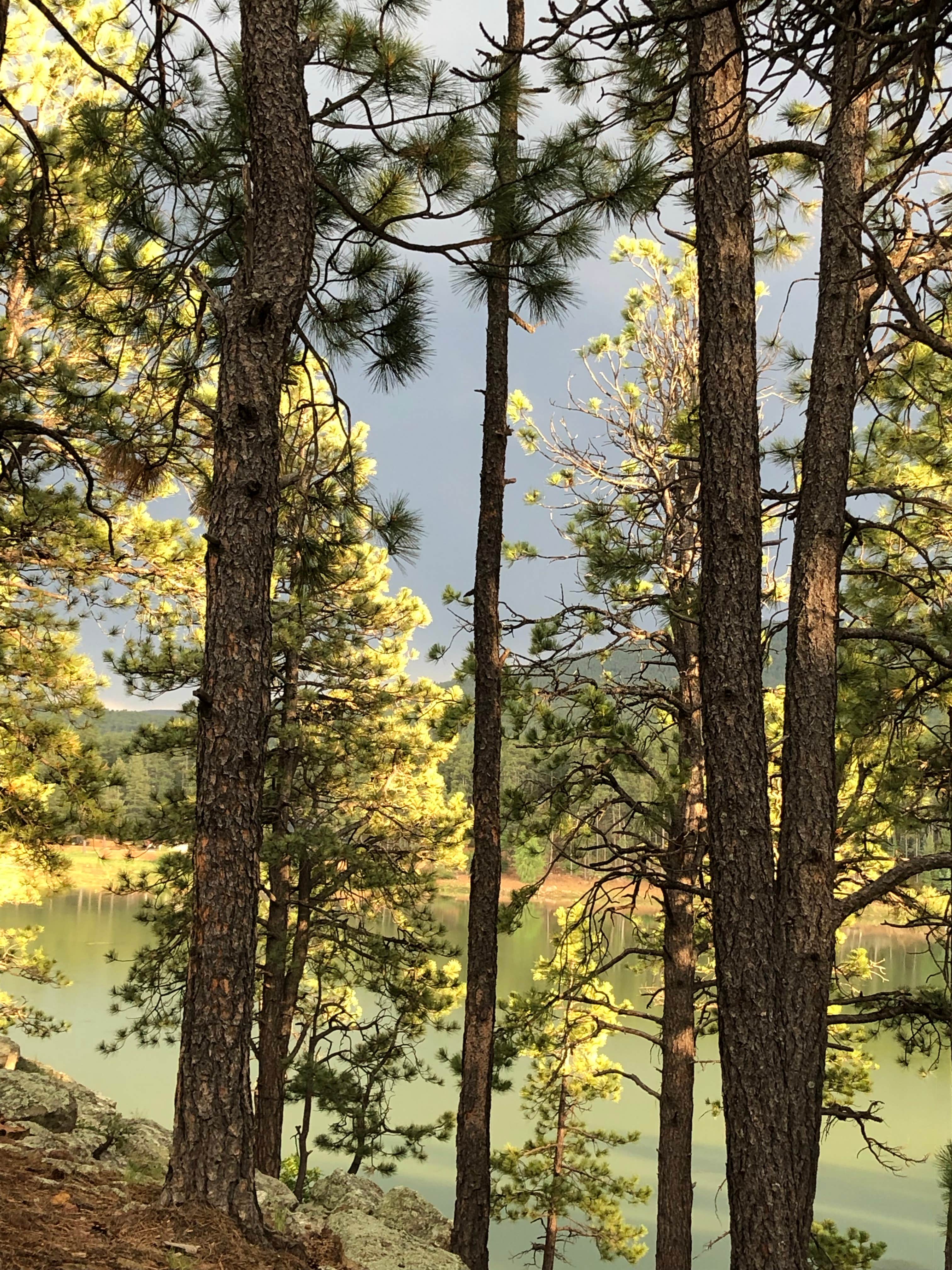 Morphy Lake State Park Campground | Mora, NM