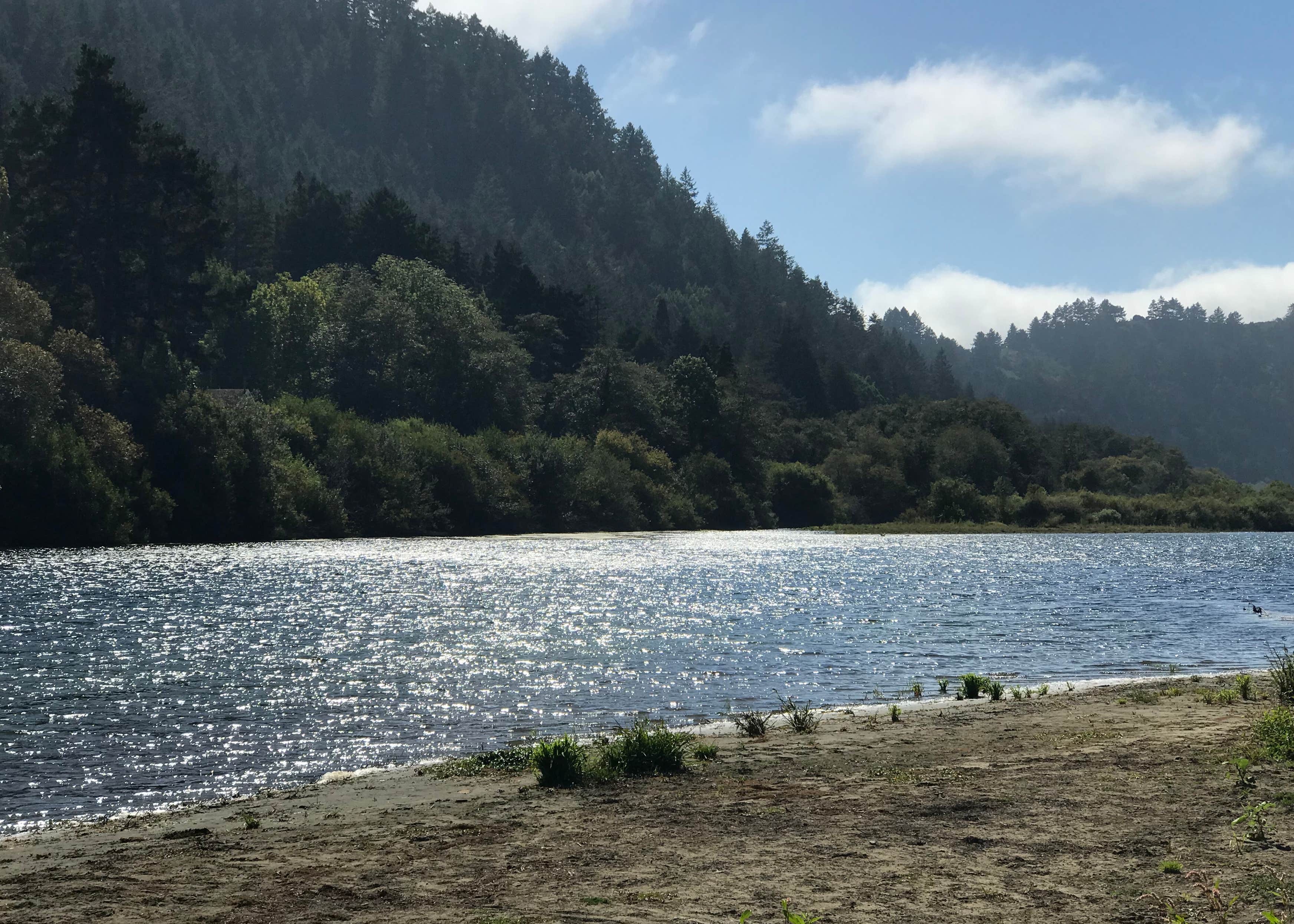 Duncans Mills Campground (Membership) Camping | The Dyrt