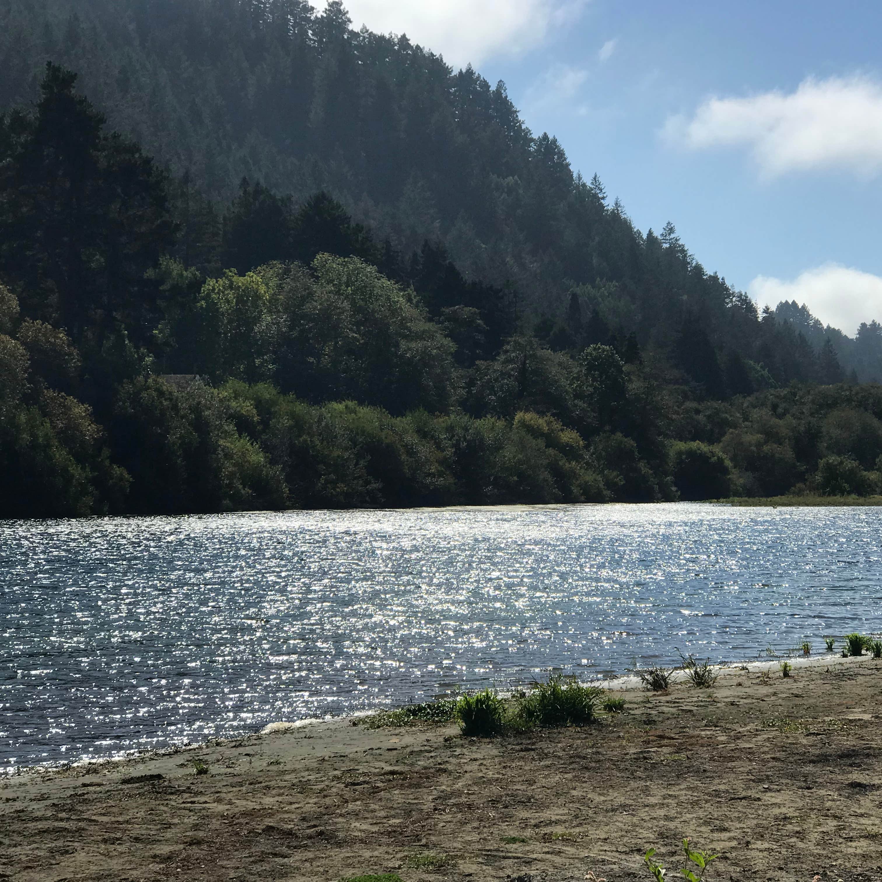 Duncans Mills Campground (Membership) | Duncans Mills, California