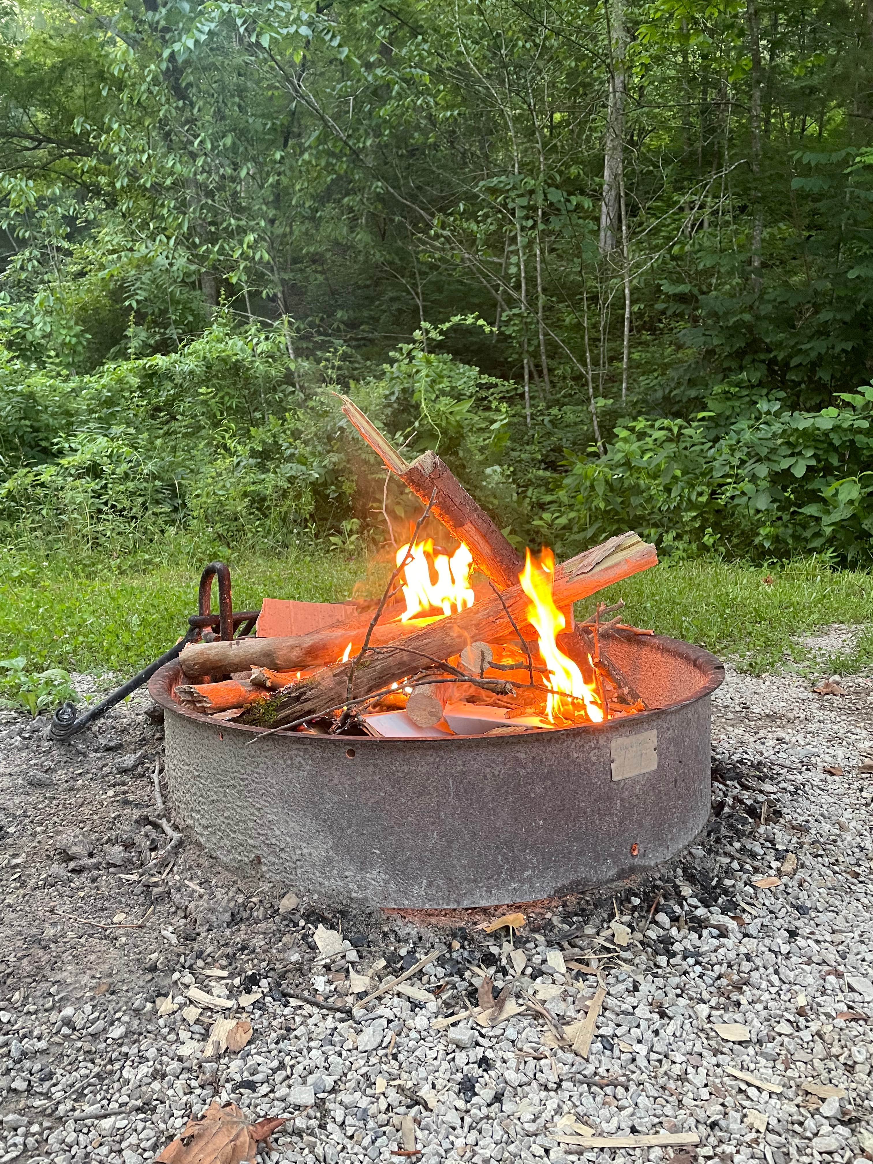 Natural Bridge Campground | The Dyrt