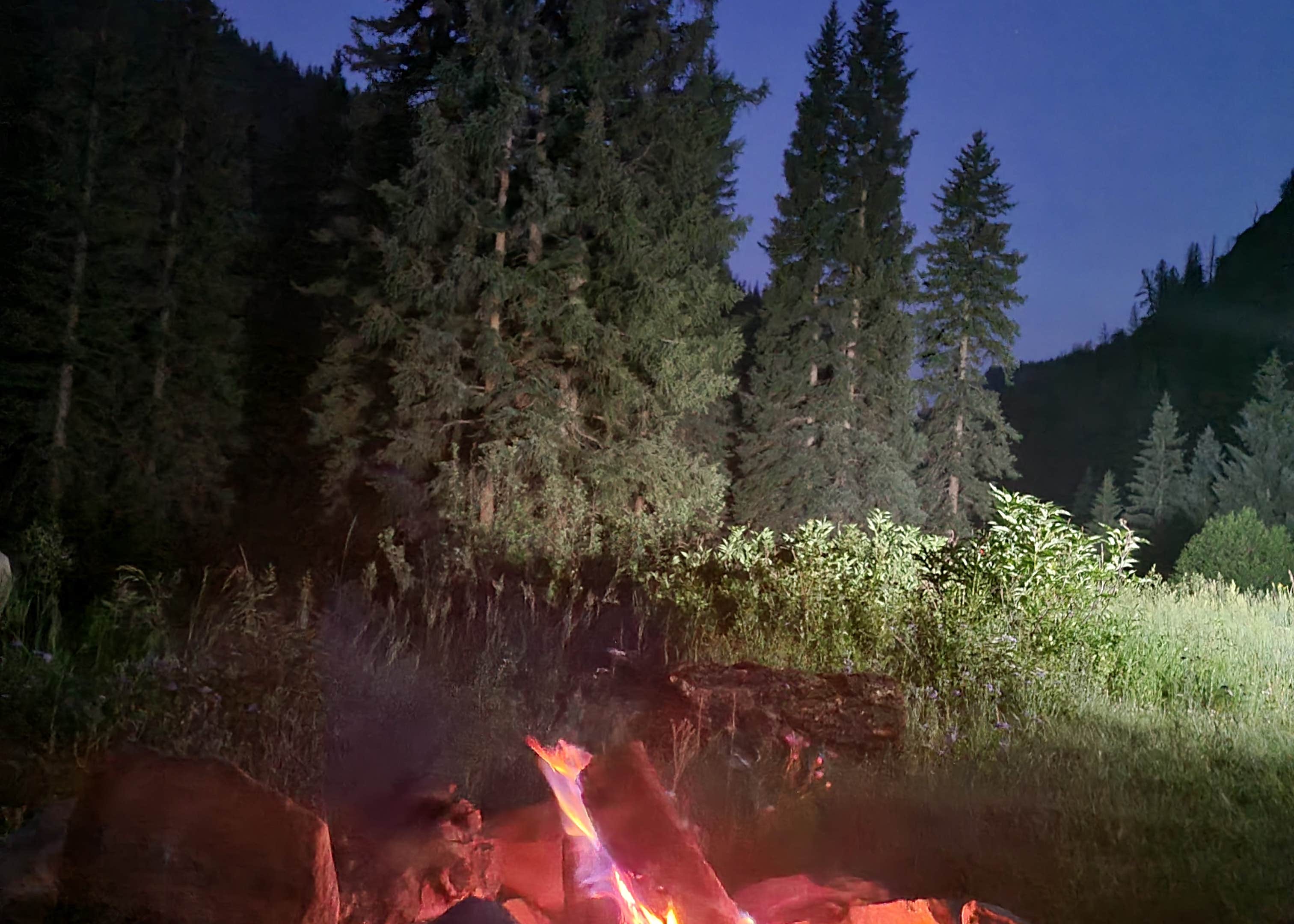 Spring Creek Campground Camping | The Dyrt