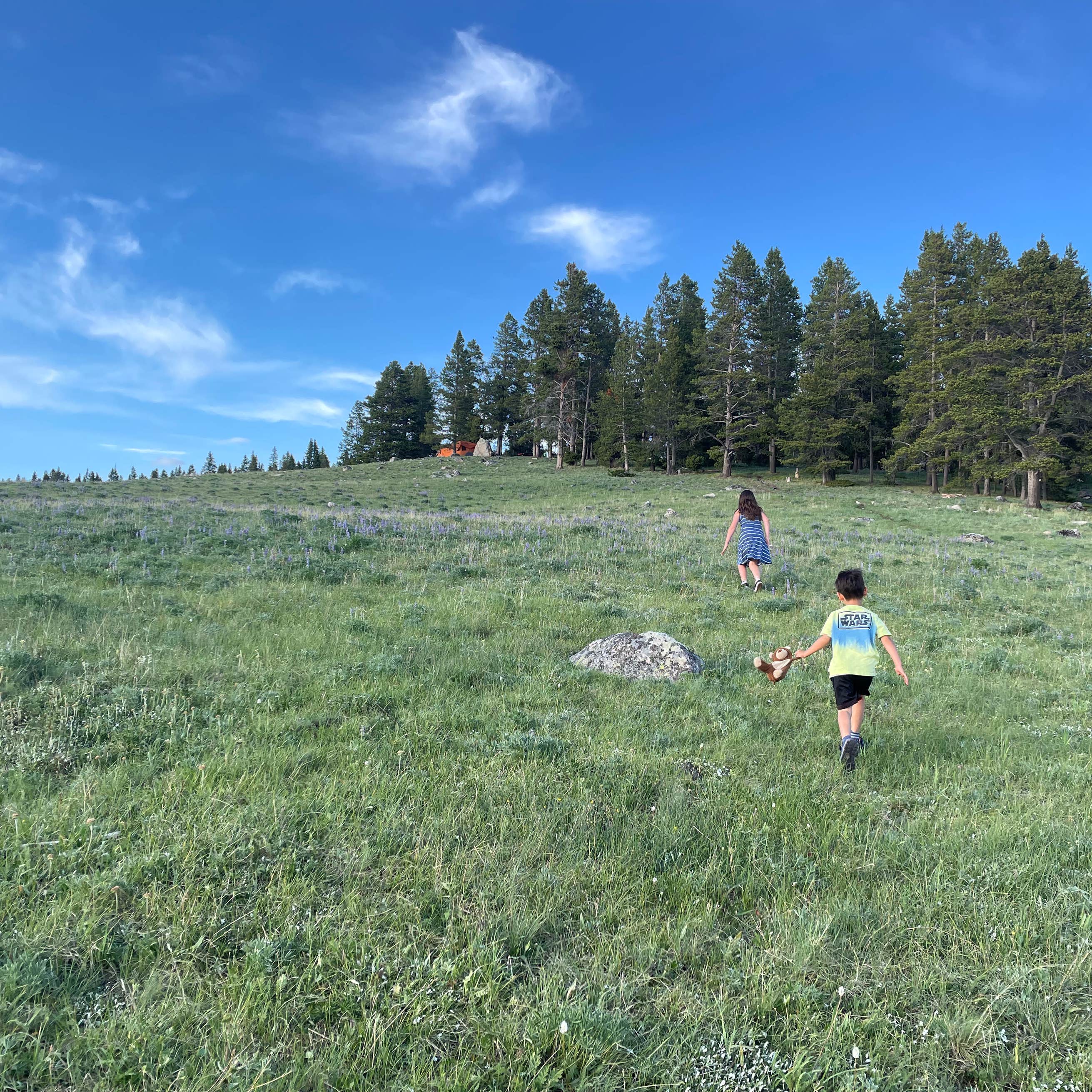 Lakeview Campground | Ten Sleep, Wyoming
