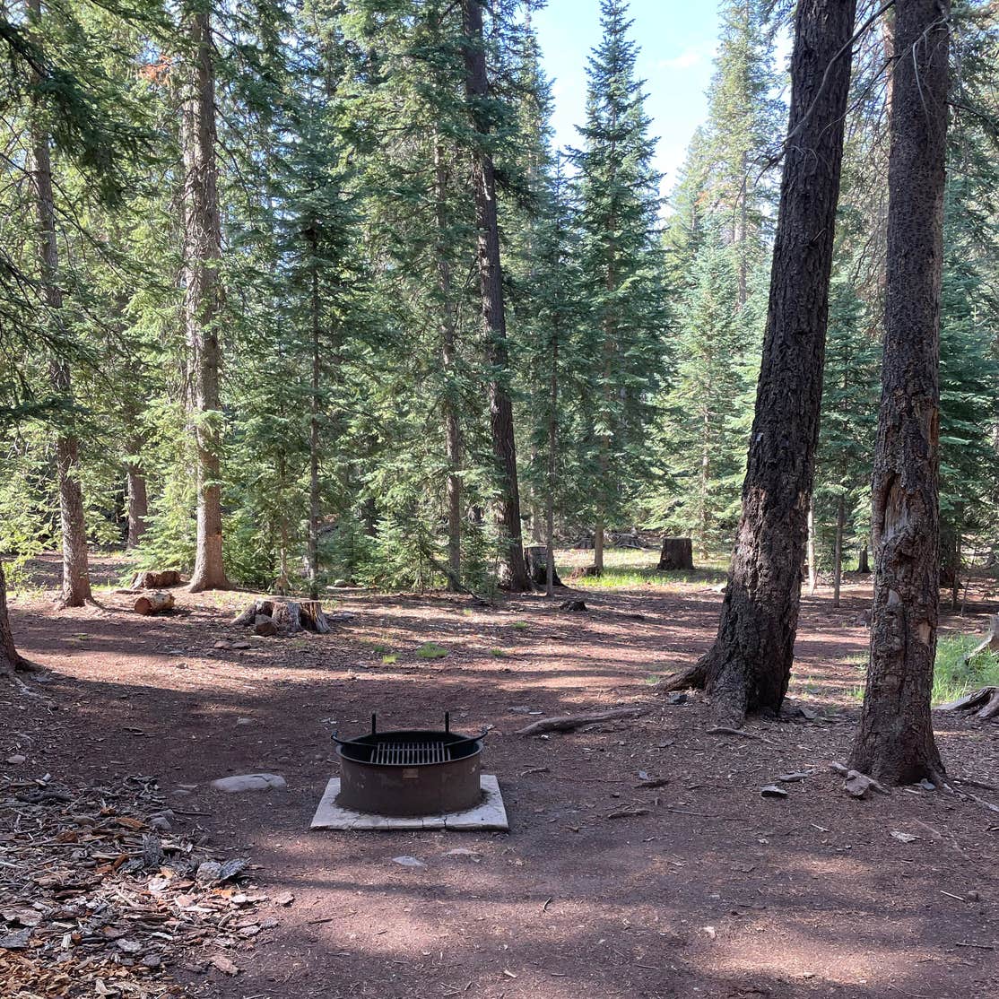 Grayling Camping | Greer, AZ