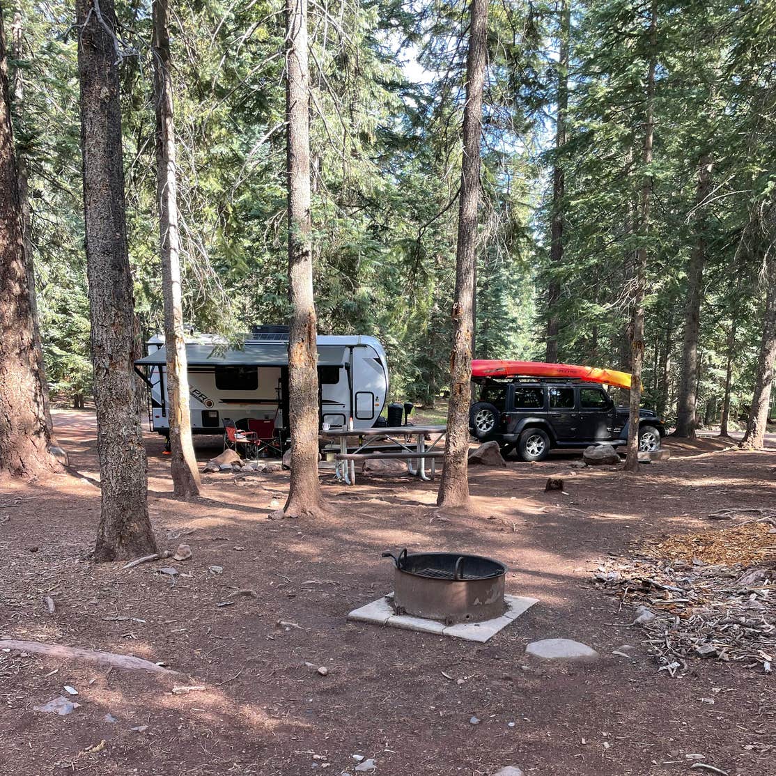 Grayling Camping | Greer, Arizona