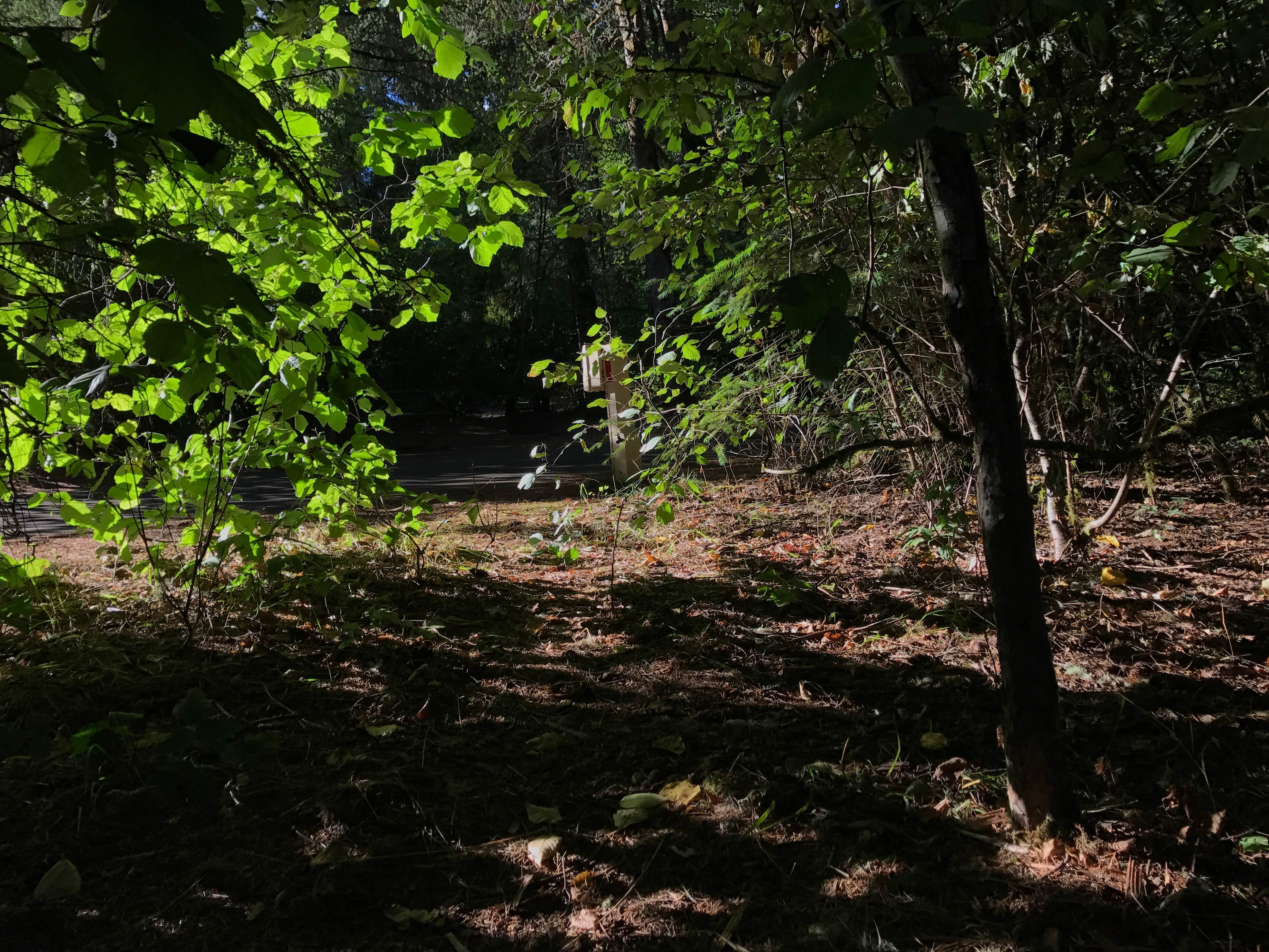 Richardson Park & Campground - A Lane County Park | Alvadore, Oregon