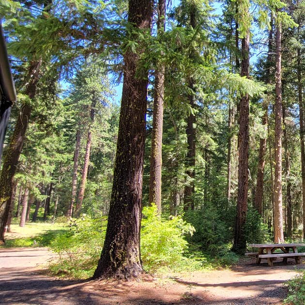 Spring Drive RV Campground | Government Camp, Oregon