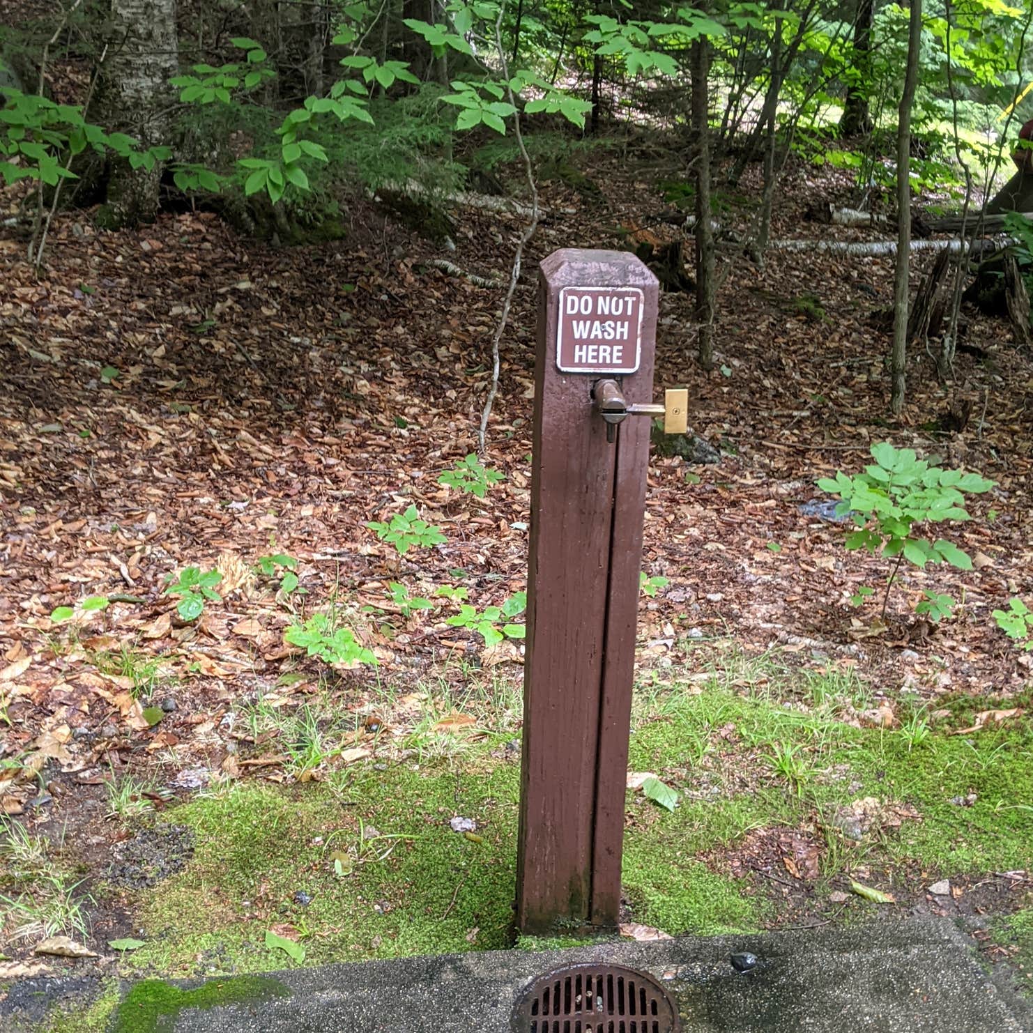 Russell Pond Campground | North Woodstock, NH