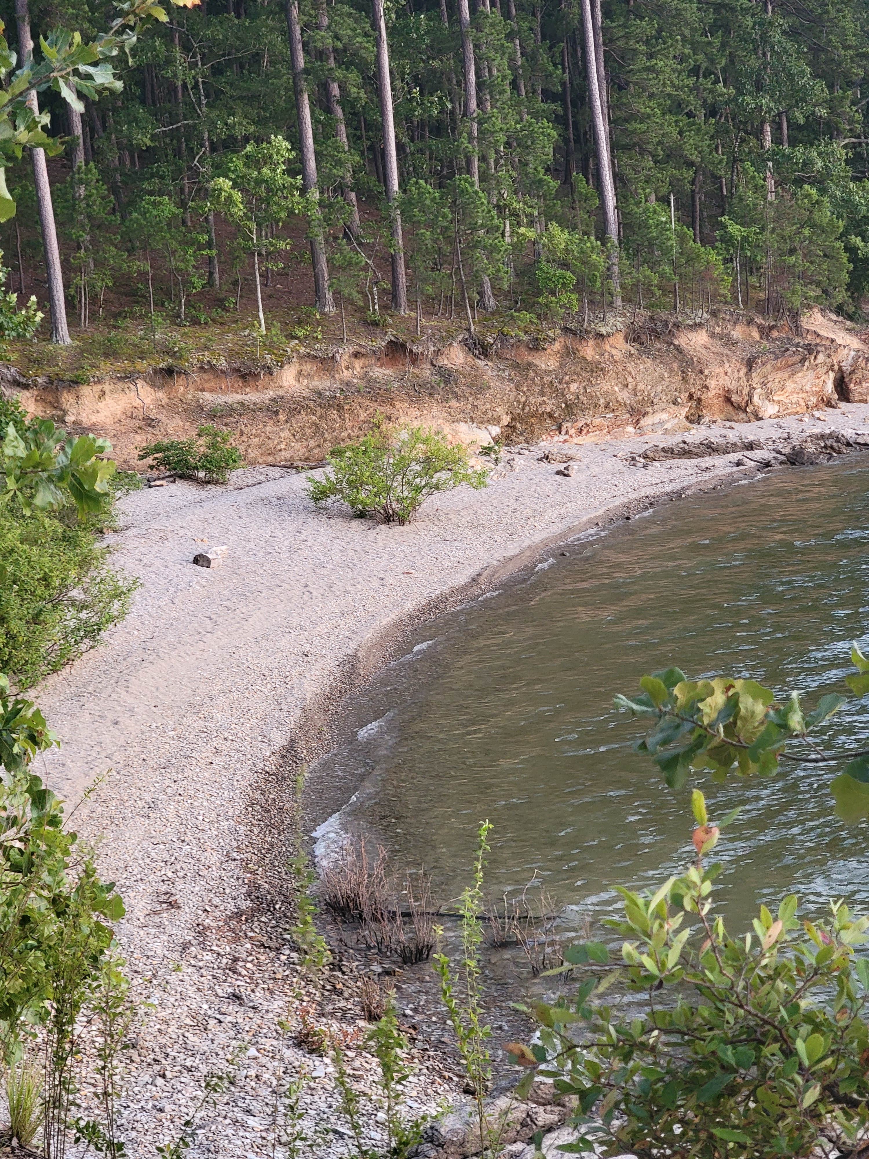 Lake Ouachita State Park | The Dyrt