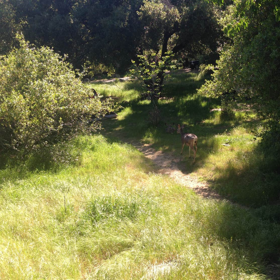 Potwisha Campground — Sequoia National Park | Three rivers, CA