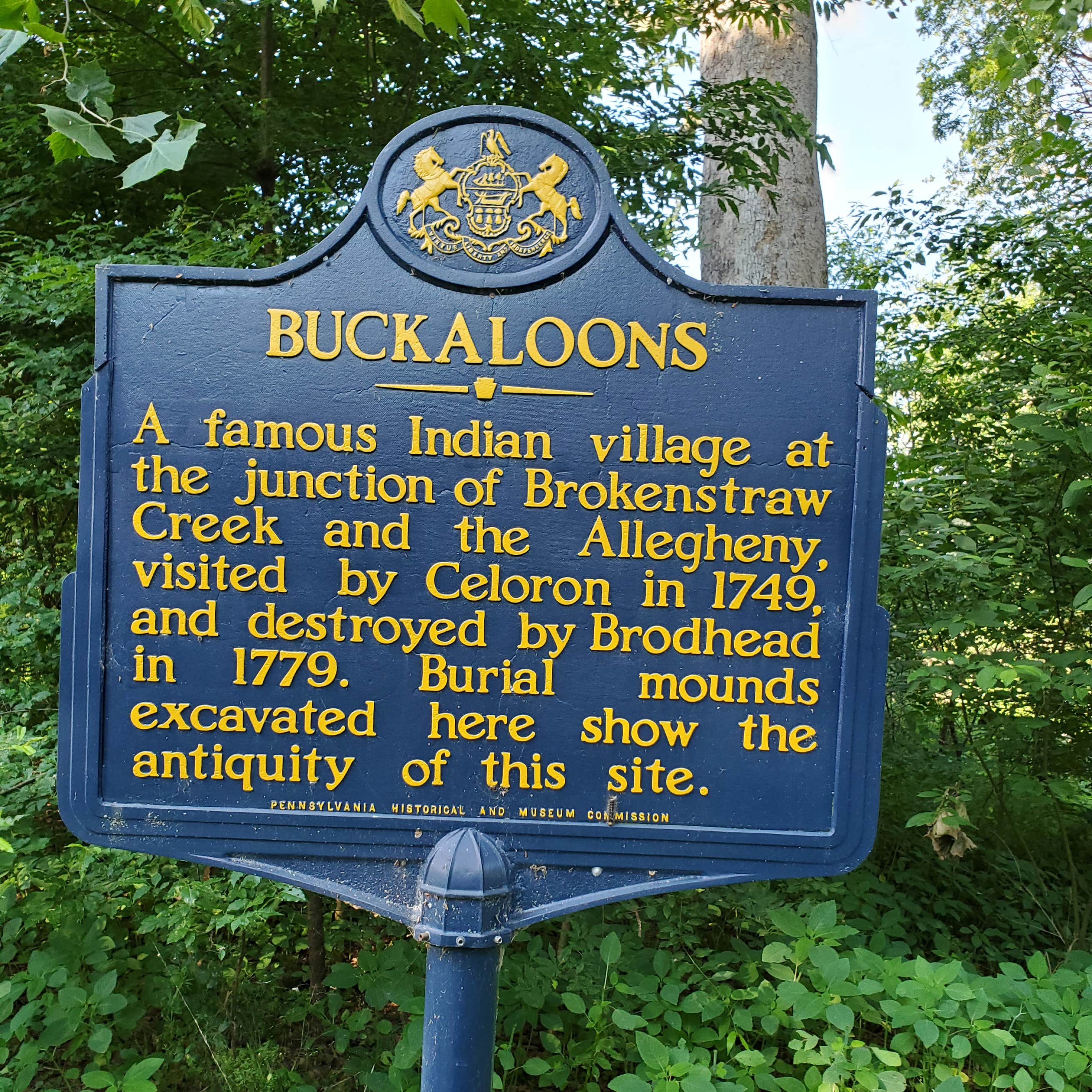 Buckaloons Camping | Irvine, Pennsylvania