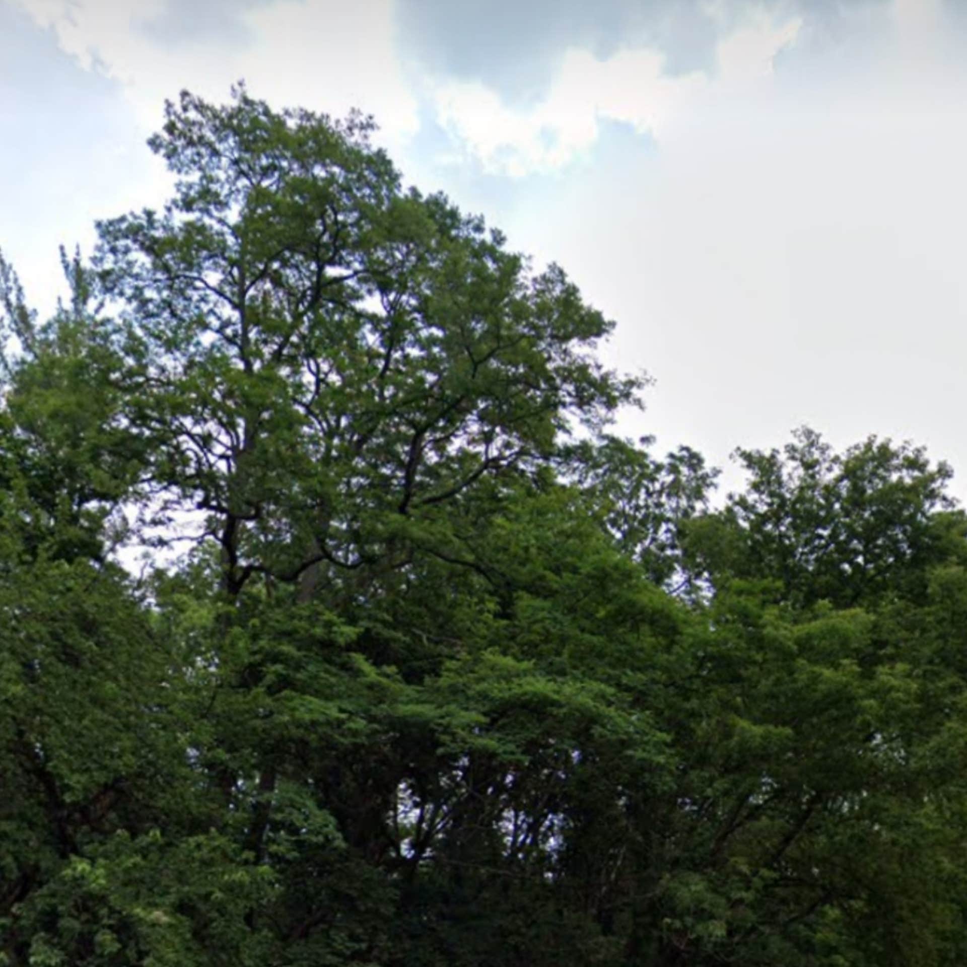 Monroe County Webster Park Camping | Webster, New York